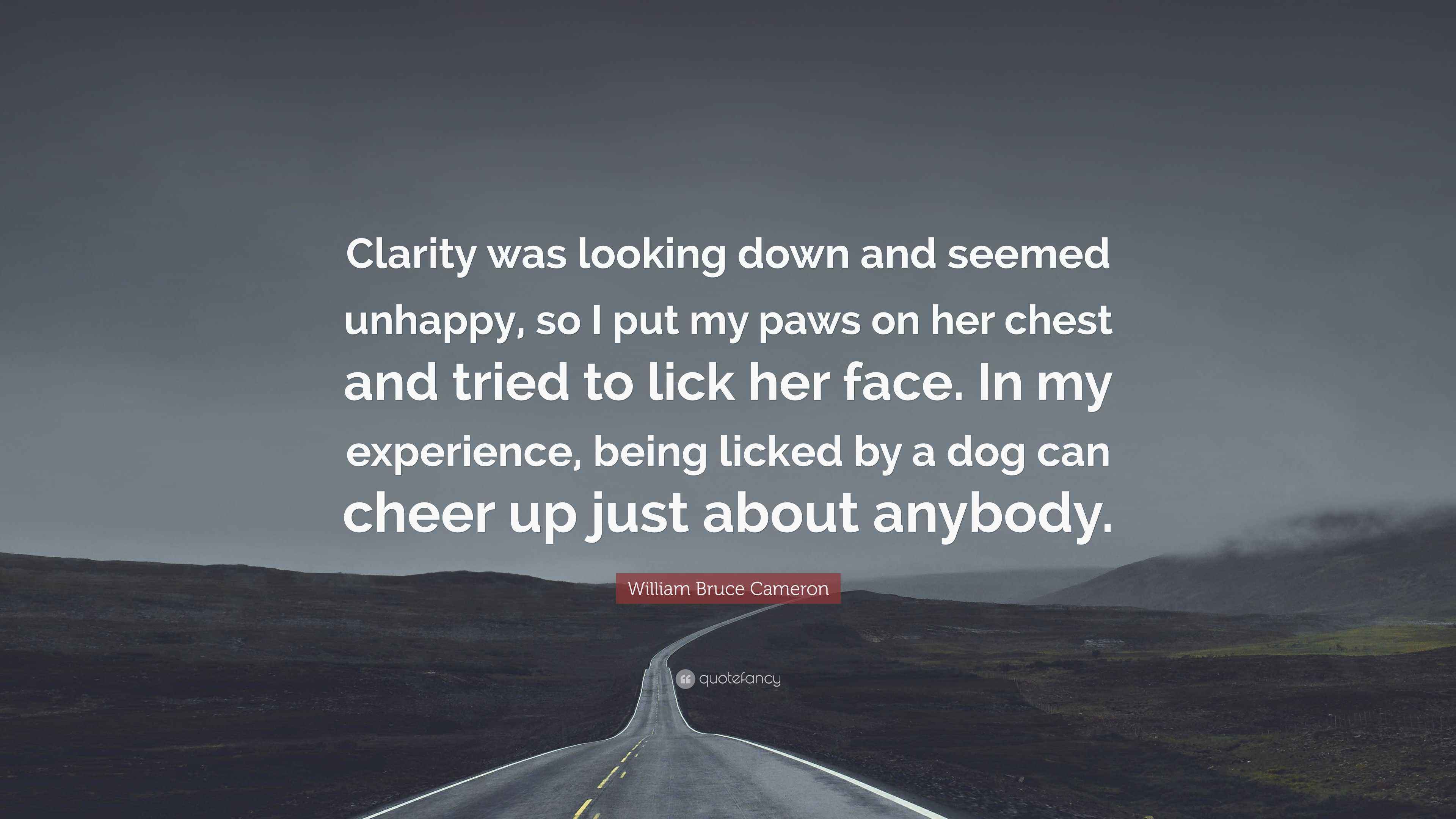 William Bruce Cameron Quote: “Clarity was looking down and seemed ...
