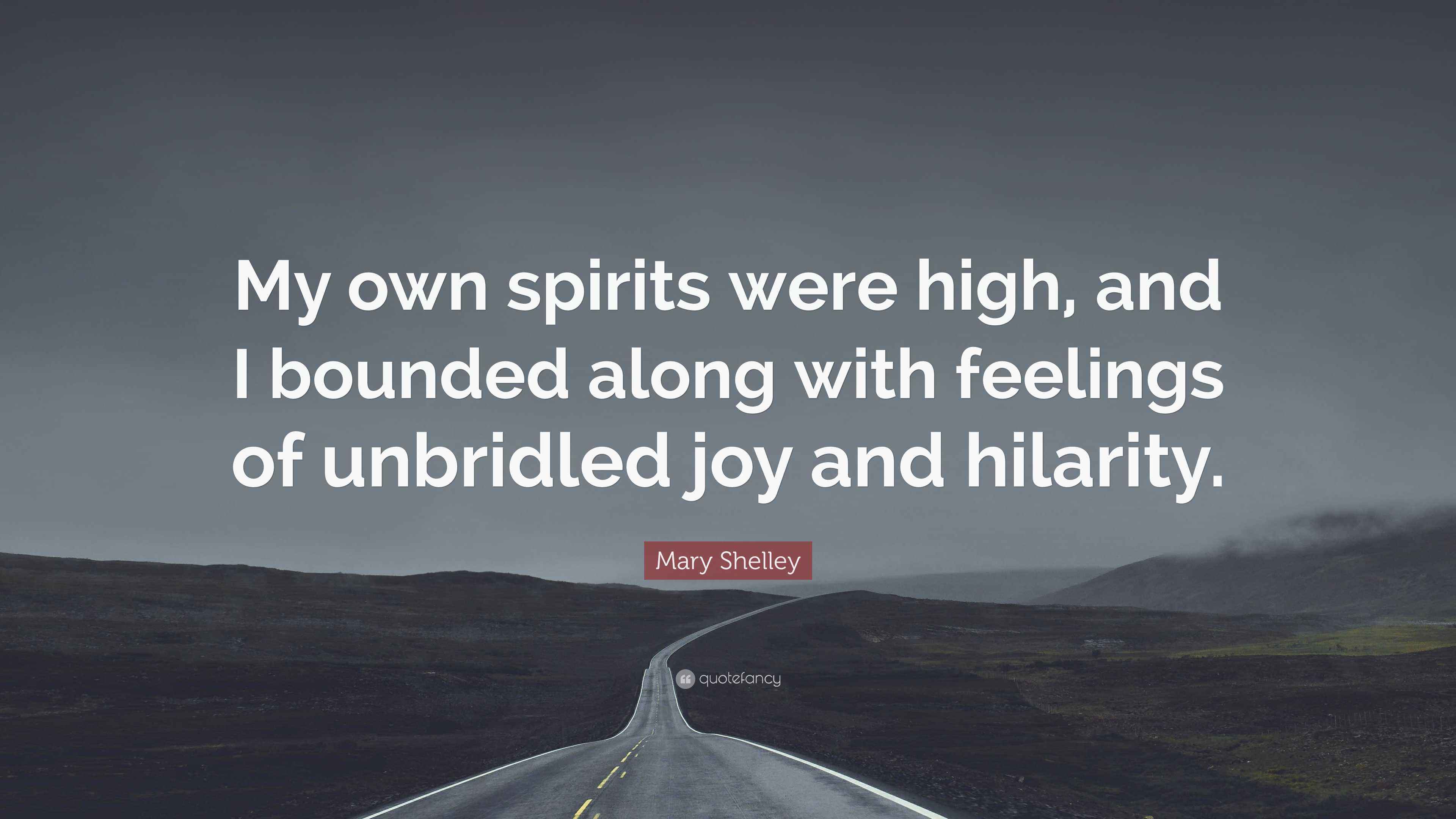 Mary Shelley Quote: “My own spirits were high, and I bounded along with ...
