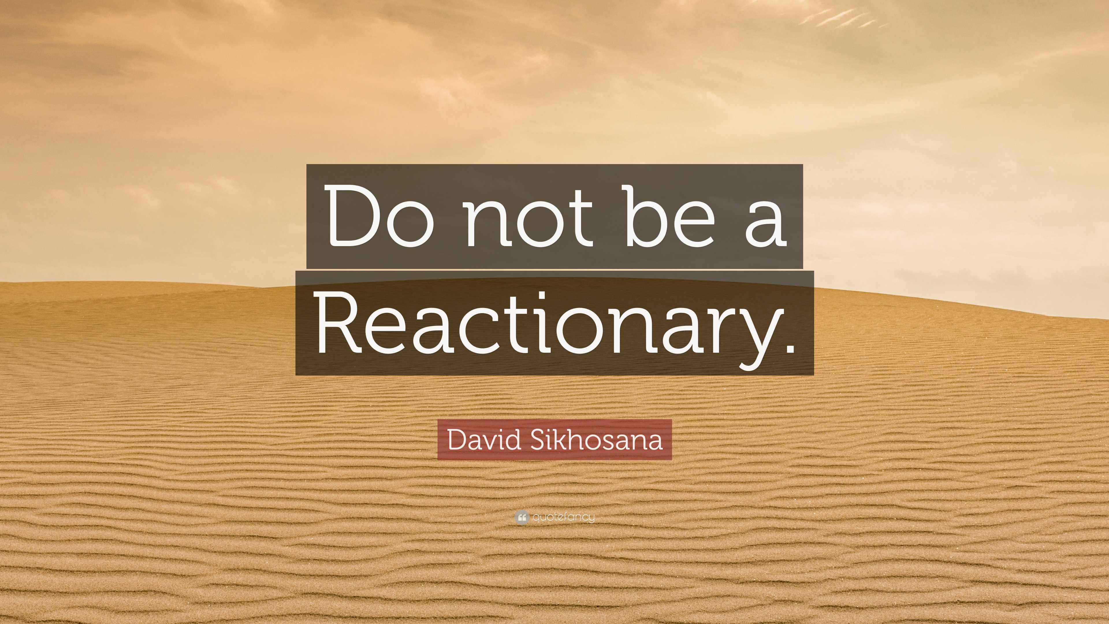 David Sikhosana Quote: “Do not be a Reactionary.”