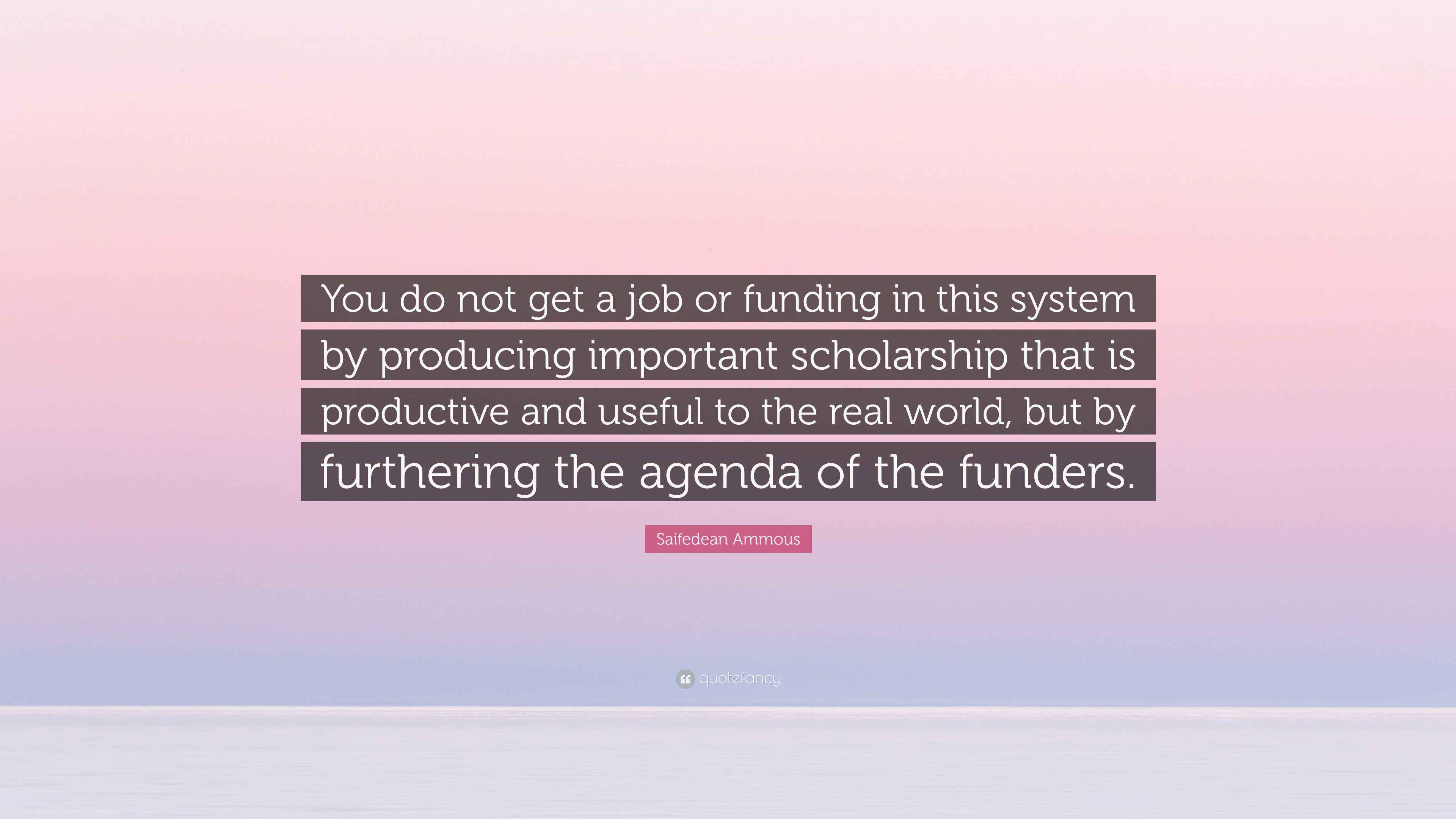 Saifedean Ammous Quote: “You do not get a job or funding in this system ...