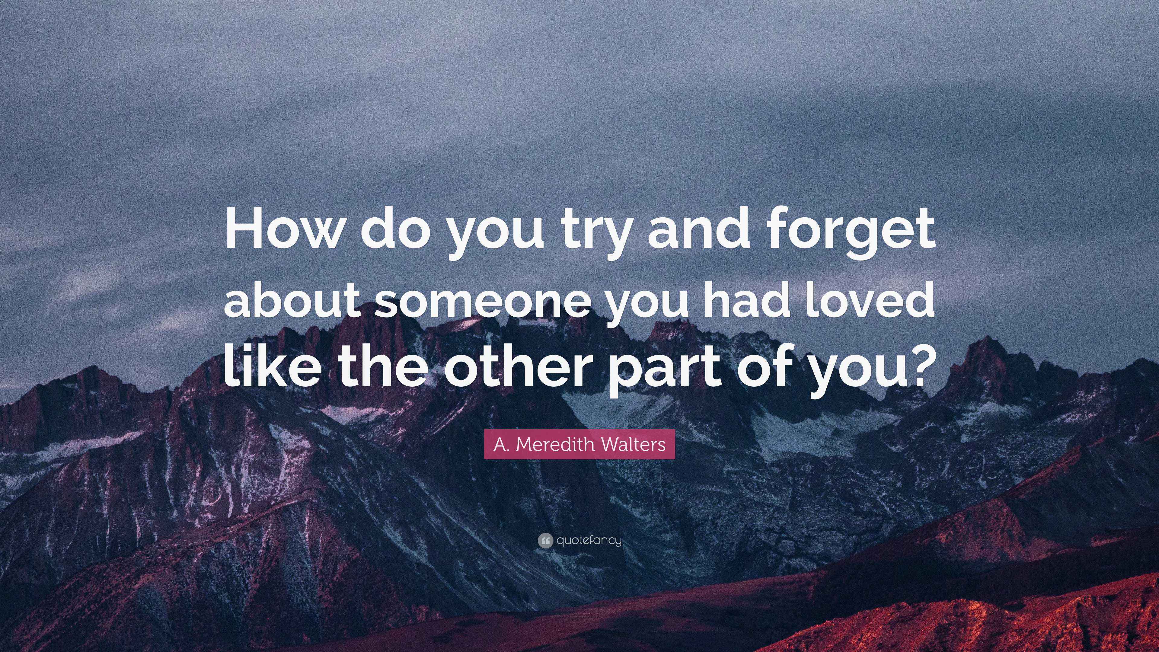 A. Meredith Walters Quote: “How do you try and forget about someone you ...