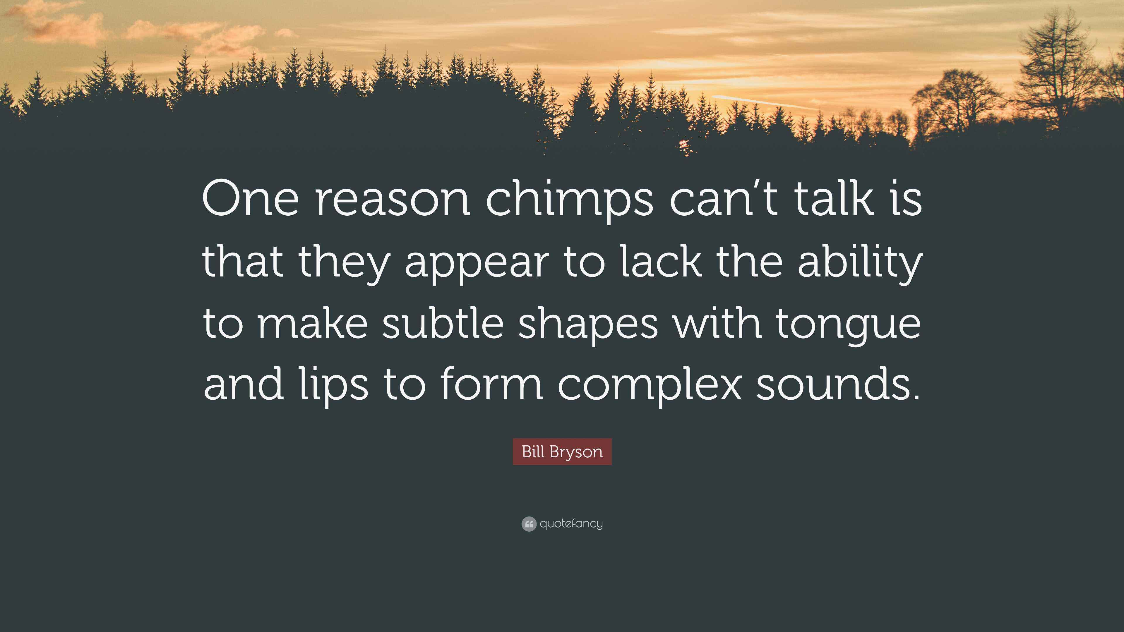Bill Bryson Quote: “One reason chimps can’t talk is that they appear to ...