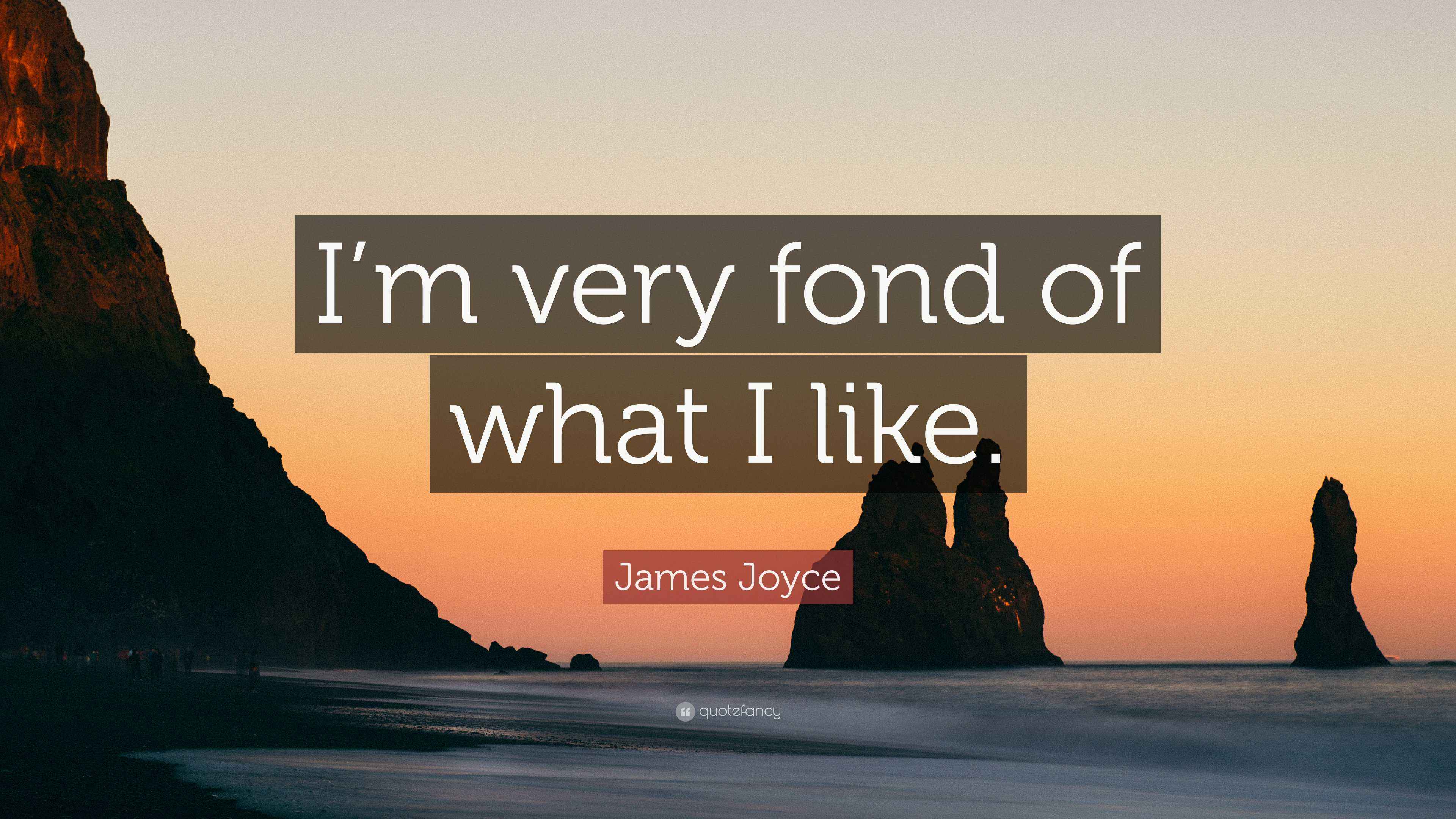 James Joyce Quote: “I’m very fond of what I like.”