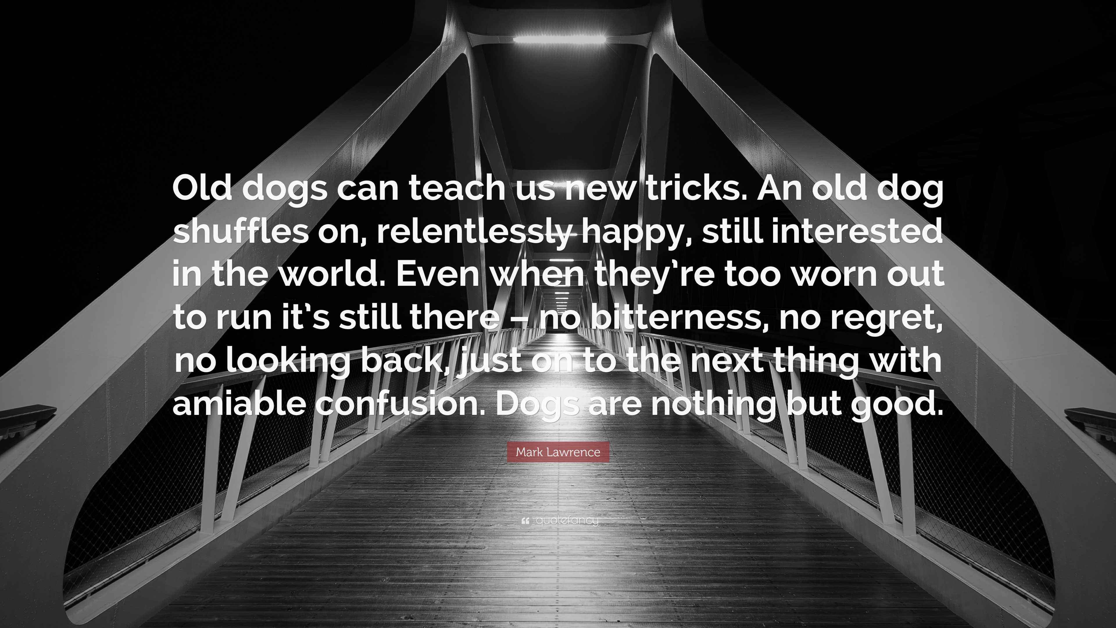 Mark Lawrence Quote: “Old dogs can teach us new tricks. An old dog ...