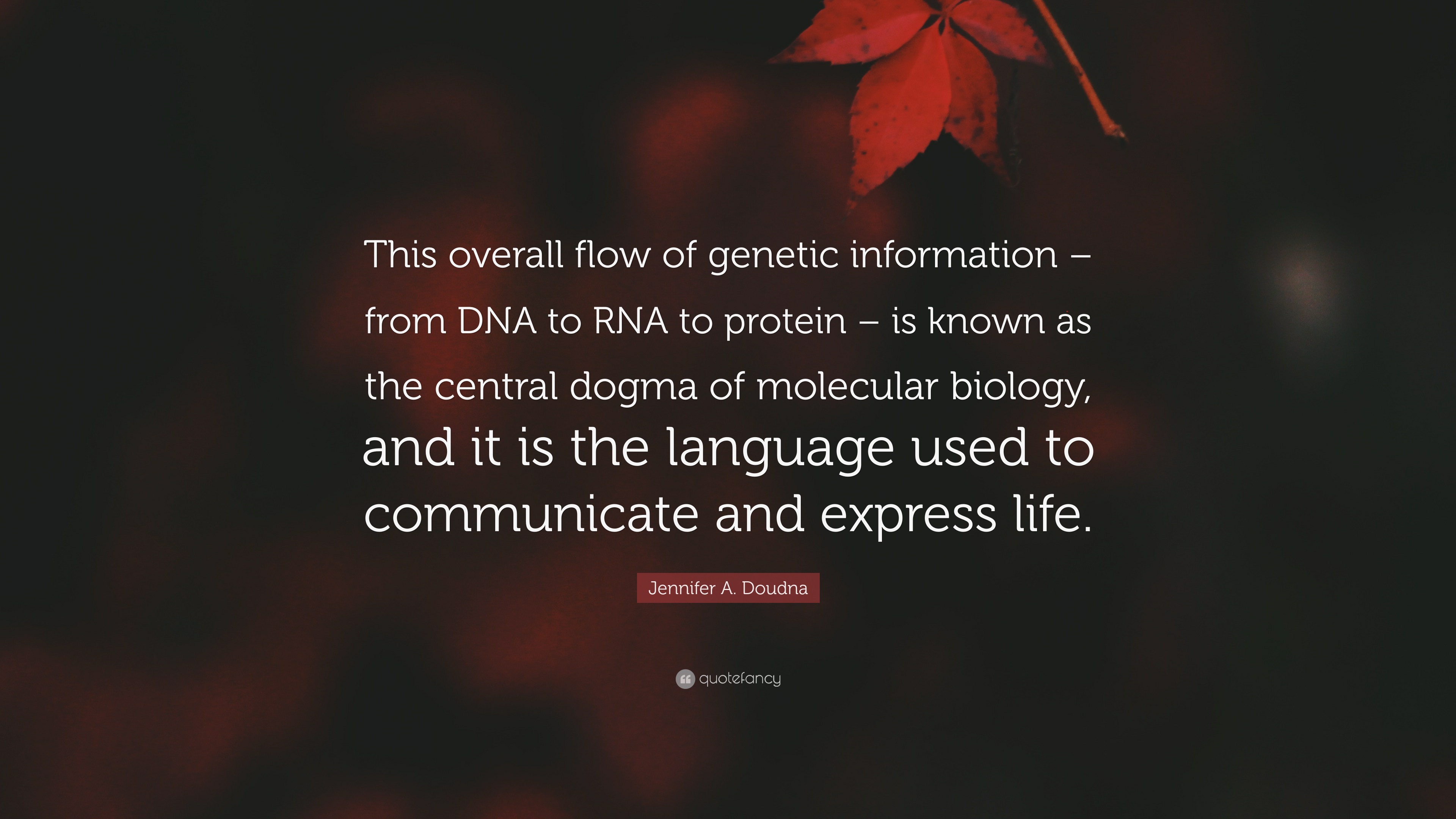 Jennifer A. Doudna Quote: “This overall flow of genetic information ...