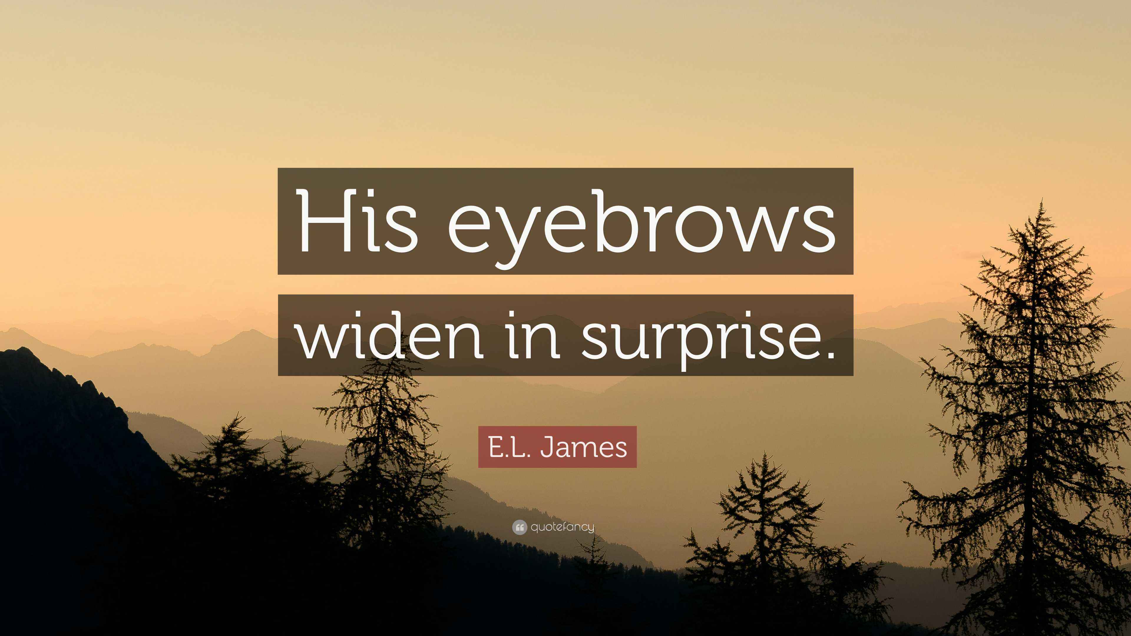 E.L. James Quote: “His eyebrows widen in surprise.”