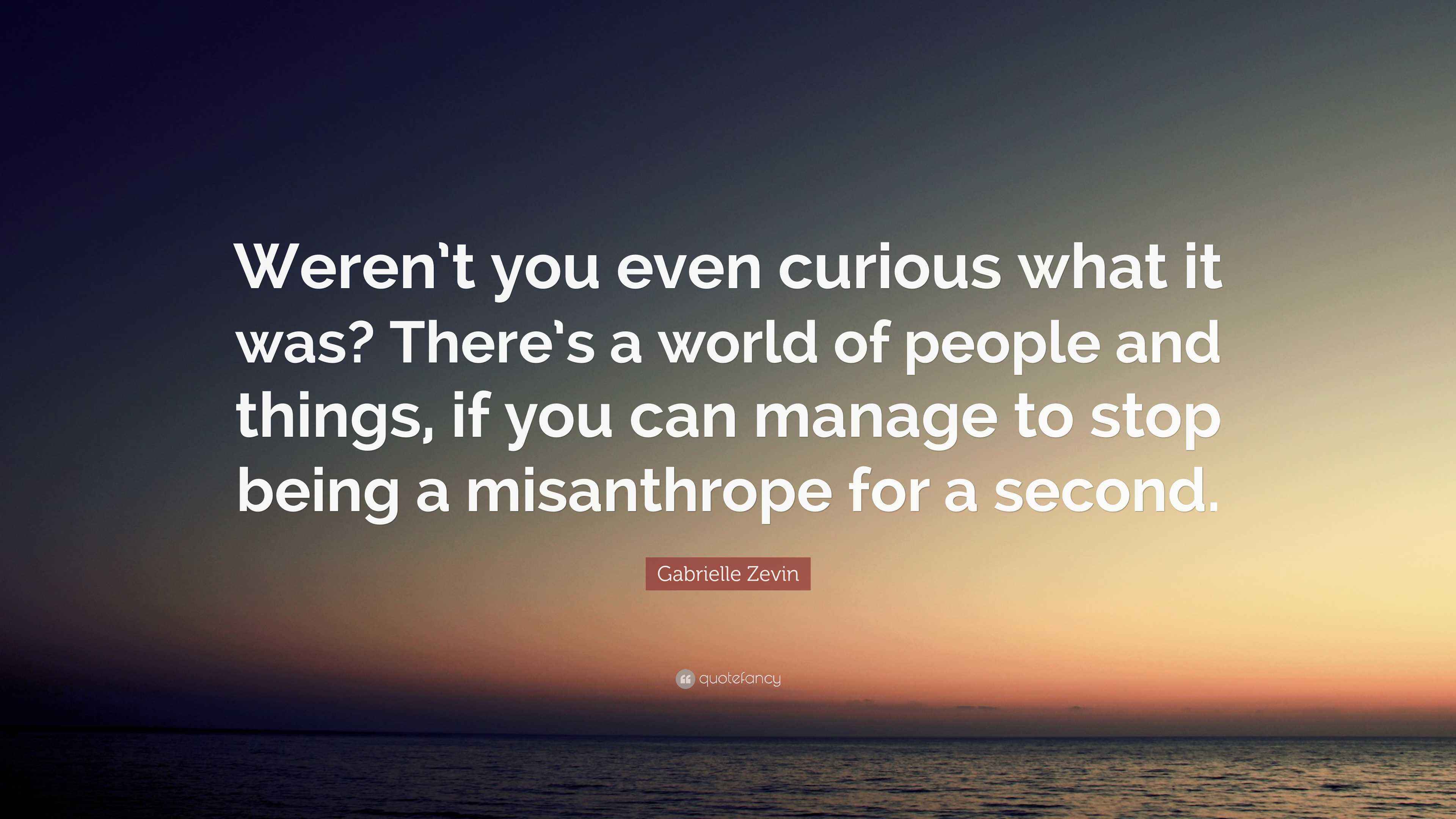 Gabrielle Zevin Quote: “Weren’t you even curious what it was? There’s a ...