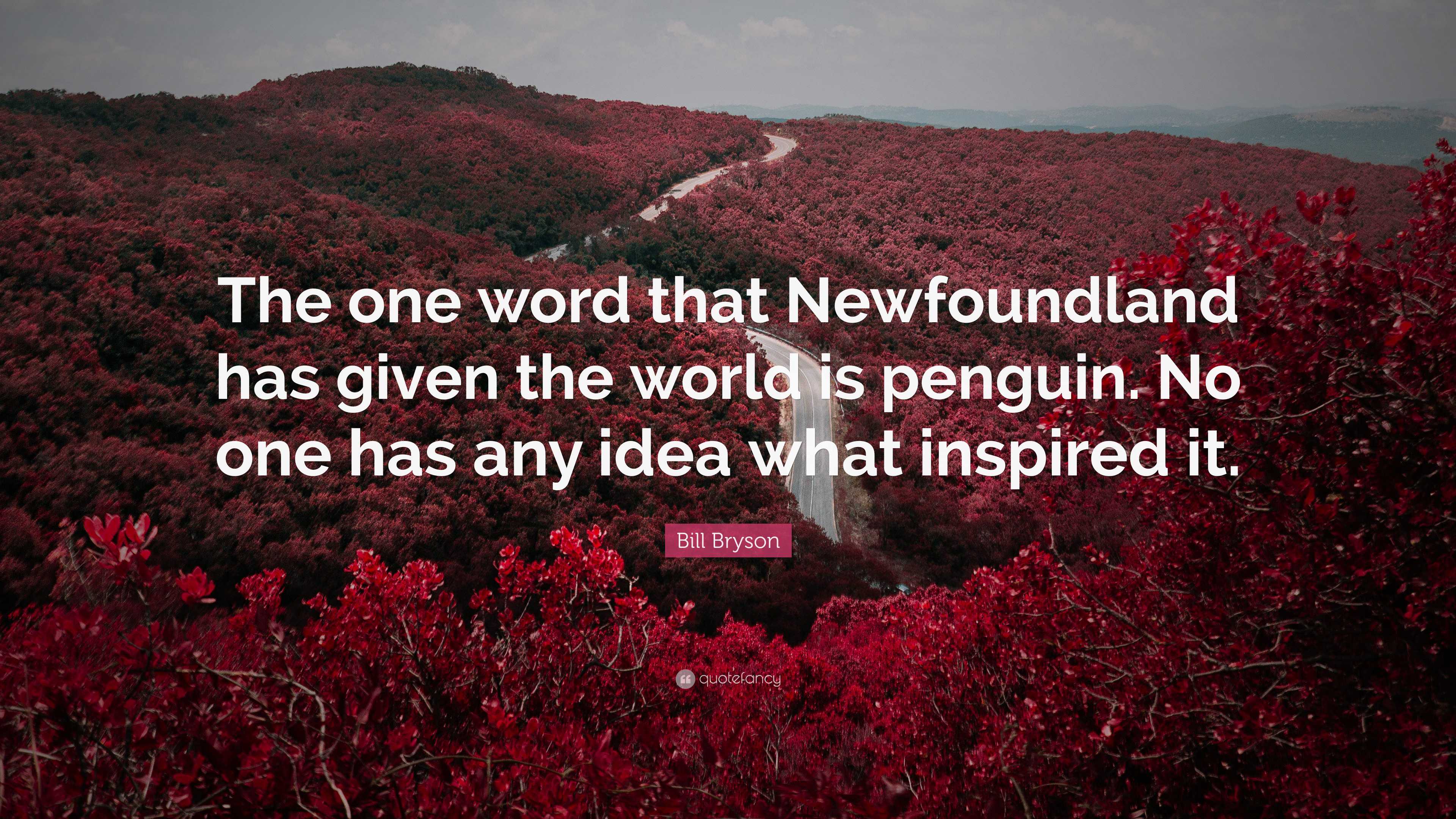 Newfoundland Inspirational Quotes 10 Inspirational Quotes By Famous
