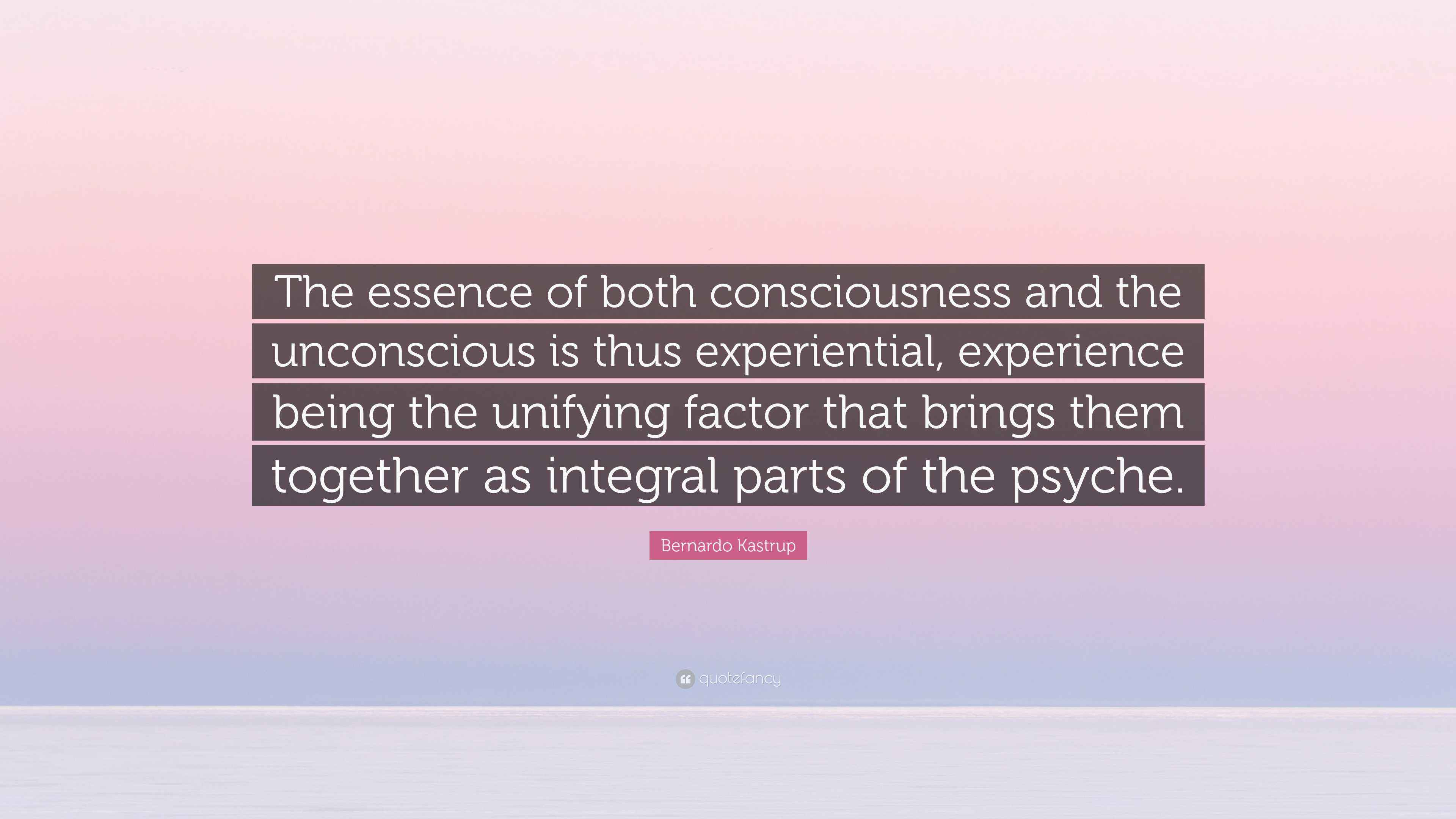 Bernardo Kastrup Quote: “The essence of both consciousness and the ...