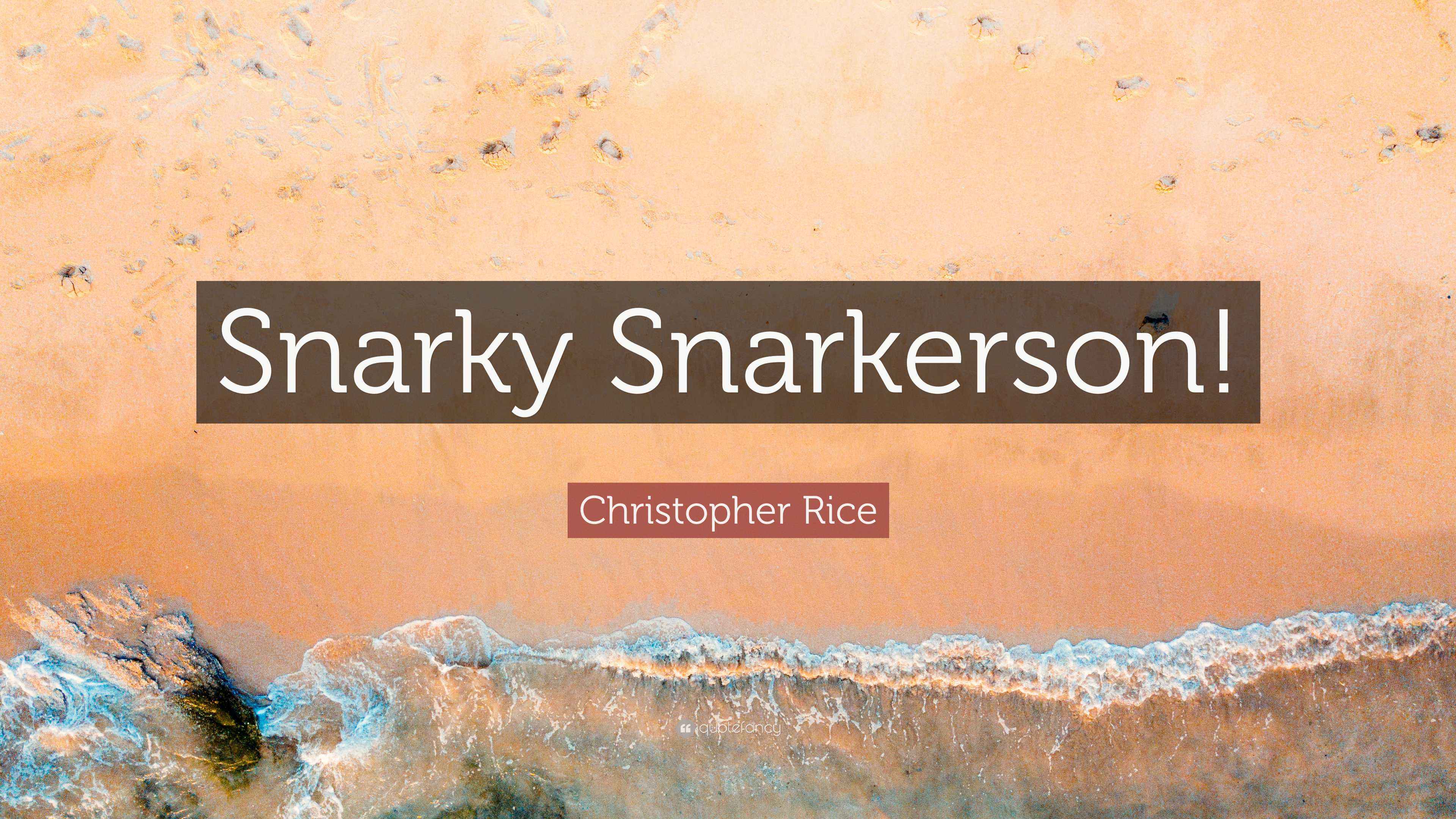 Christopher Rice Quote: “Snarky Snarkerson!”