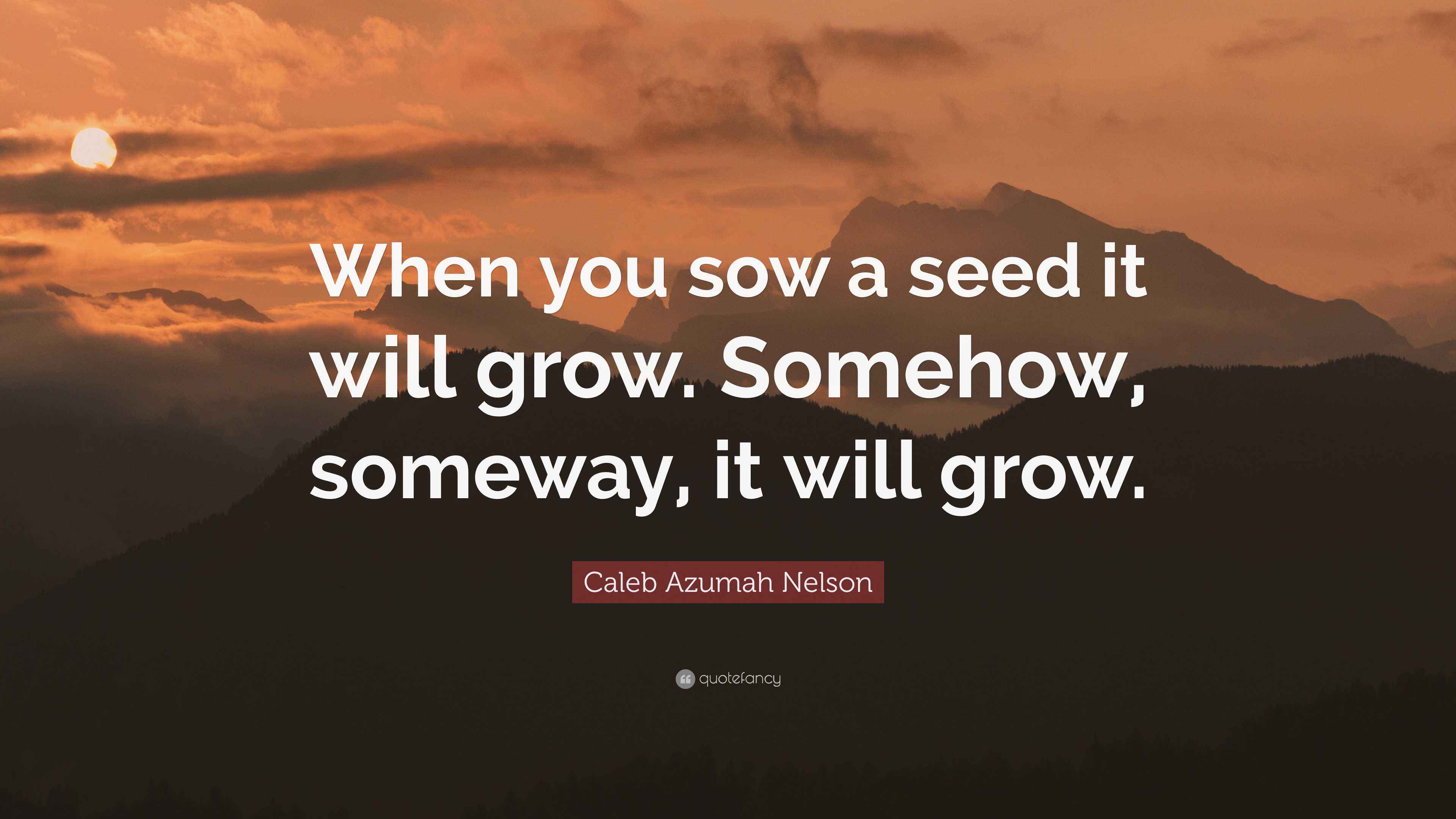 Caleb Azumah Nelson Quote: “When you sow a seed it will grow. Somehow ...
