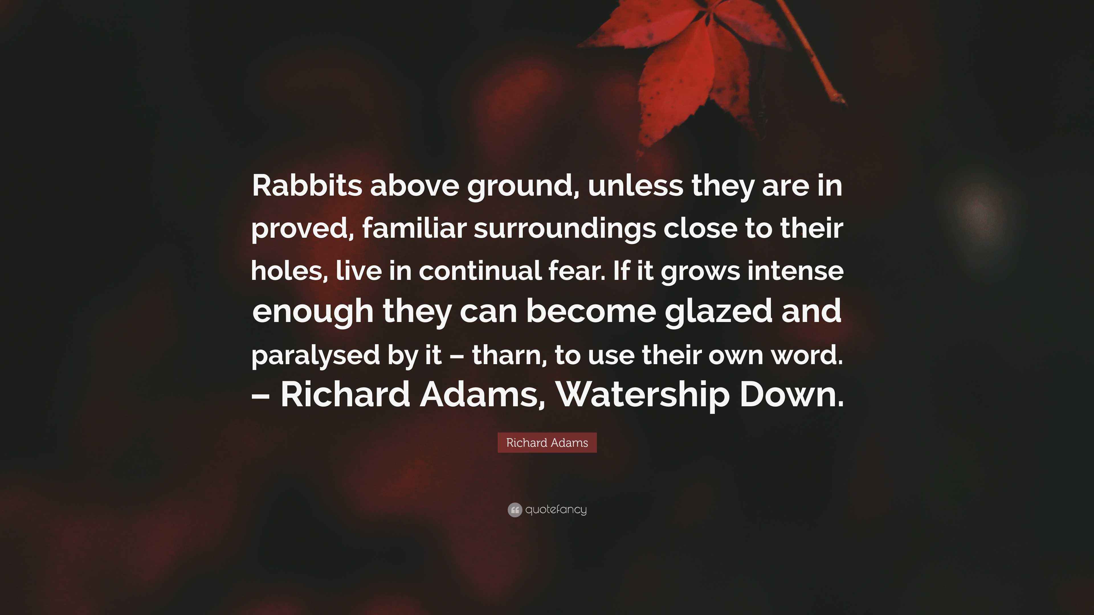 Richard Adams Quote: “Rabbits above ground, unless they are in proved ...
