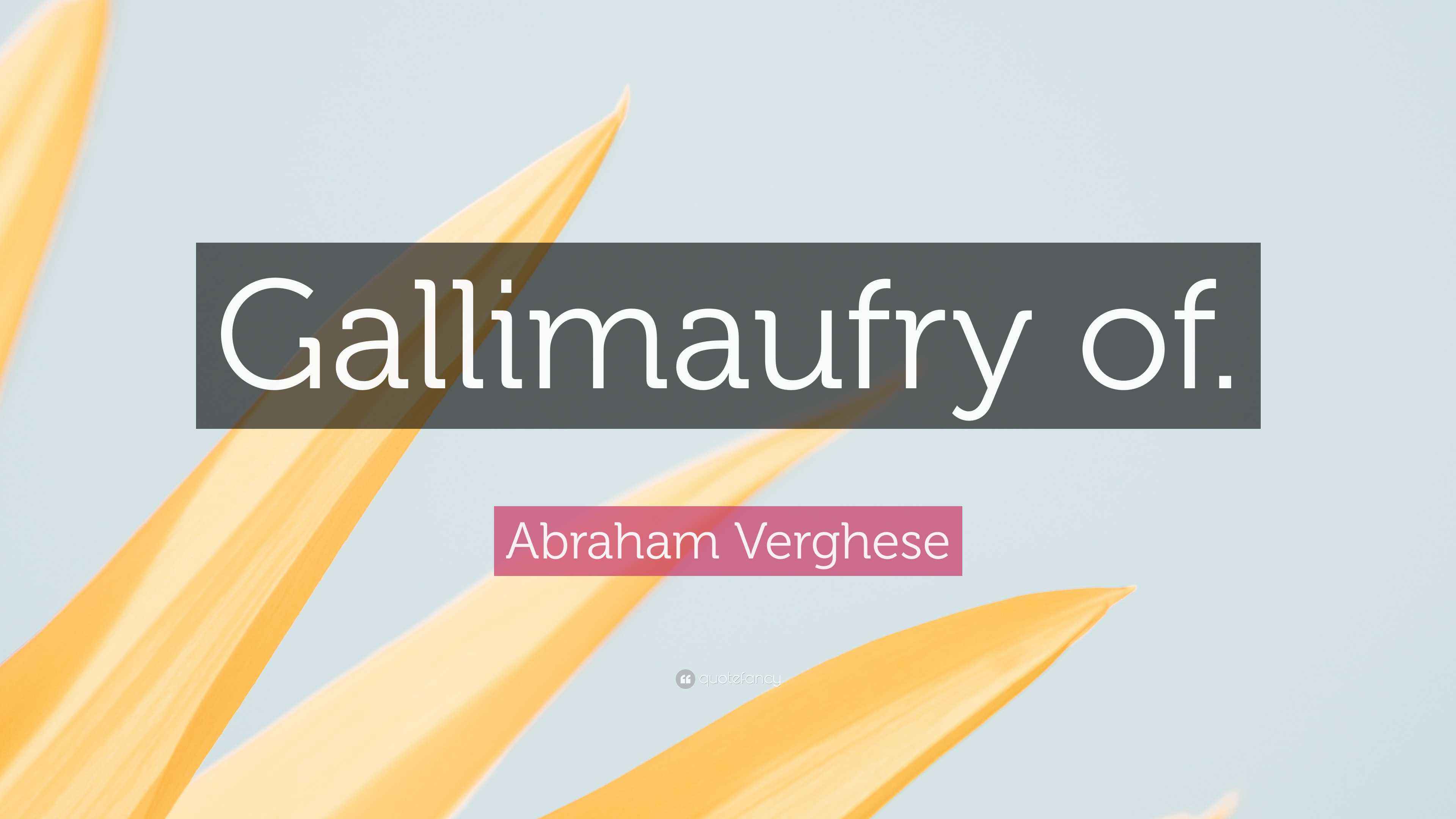 Abraham Verghese Quote: “Gallimaufry of.”