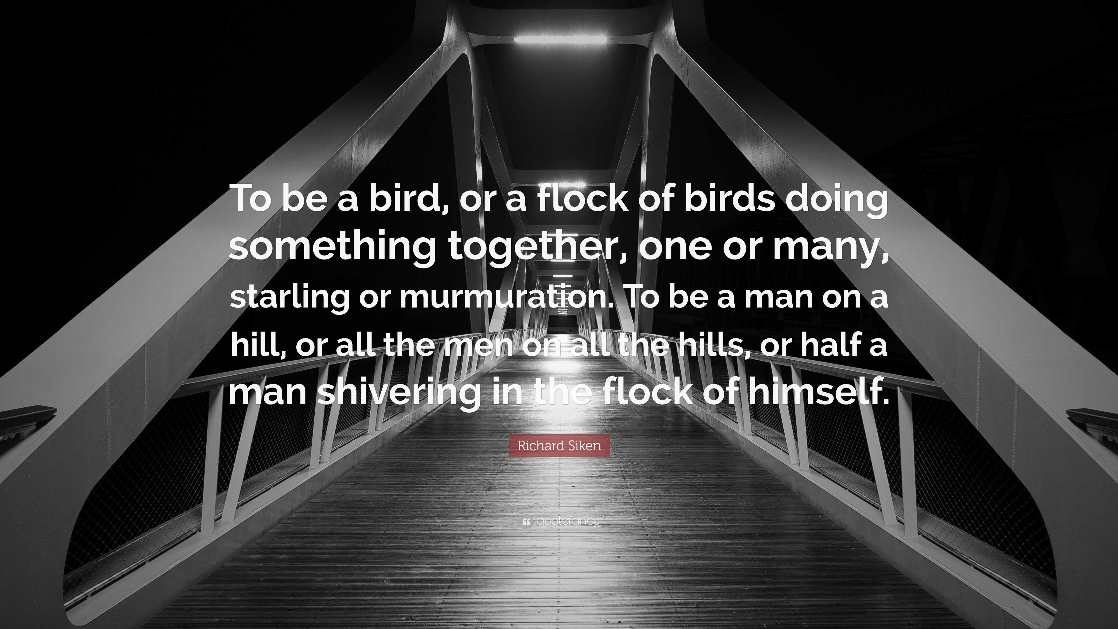 Richard Siken Quote: “To be a bird, or a flock of birds doing something ...