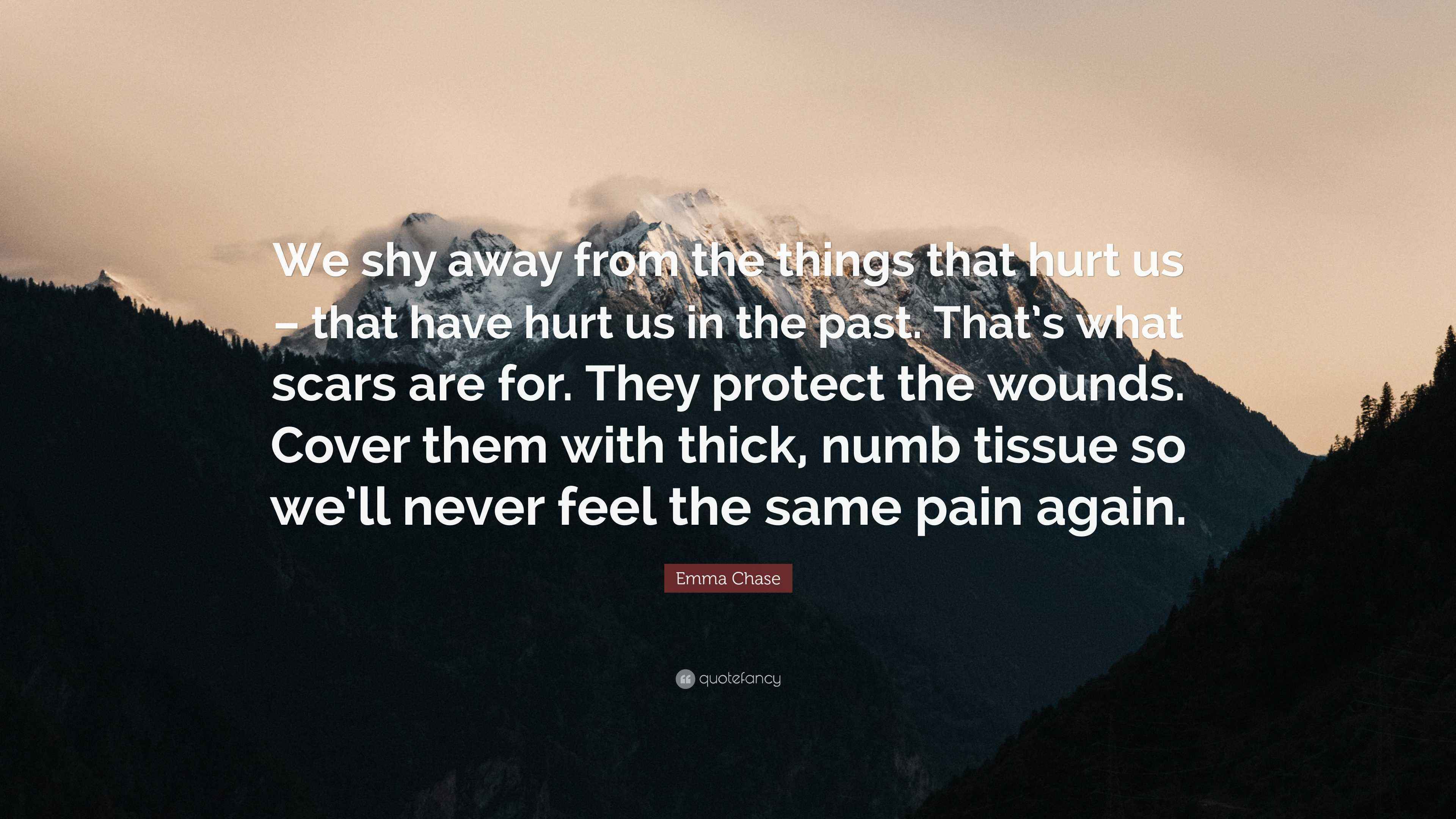 Emma Chase Quote: “We shy away from the things that hurt us – that have ...
