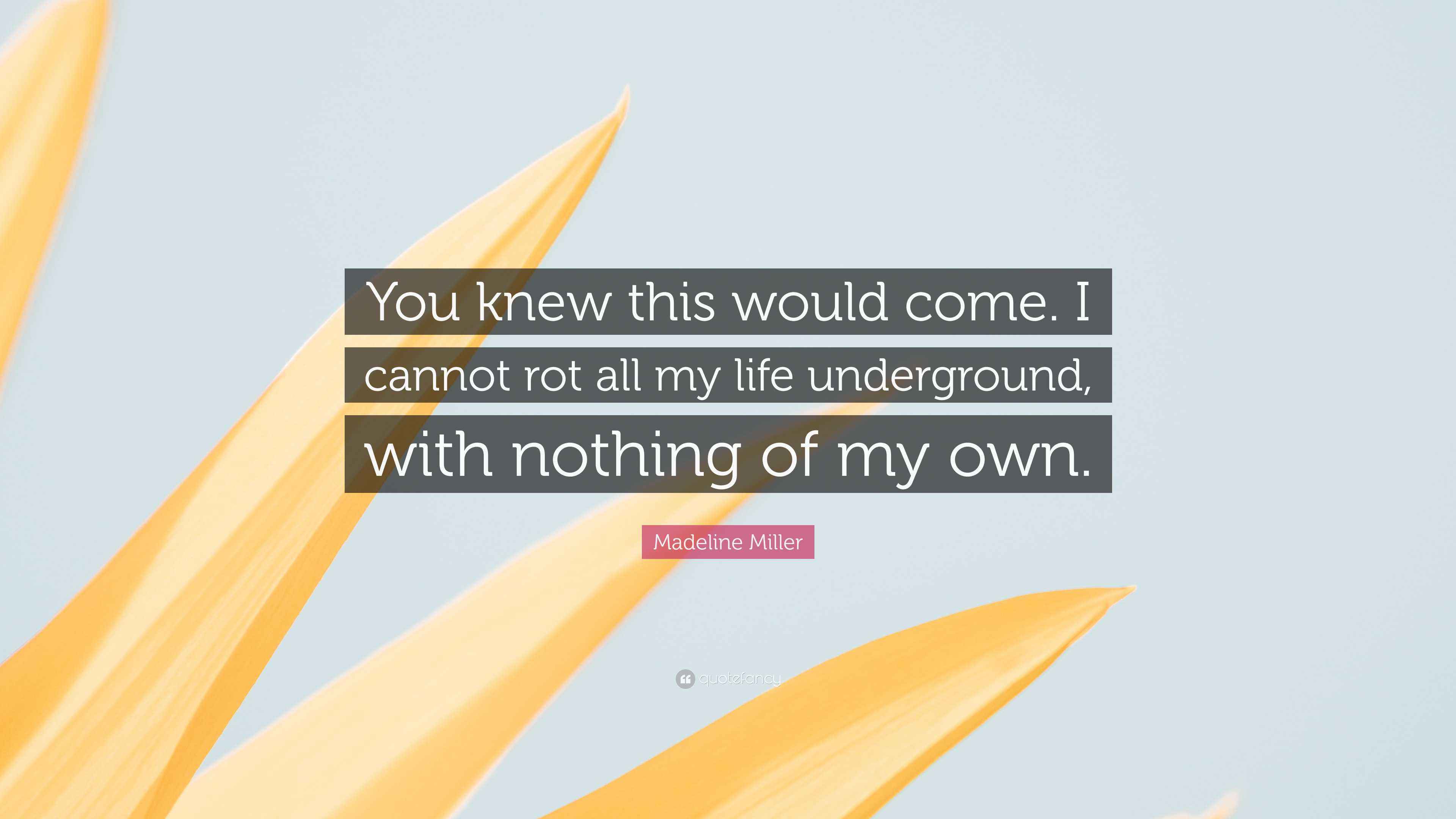 Madeline Miller Quote: “You knew this would come. I cannot rot all my ...