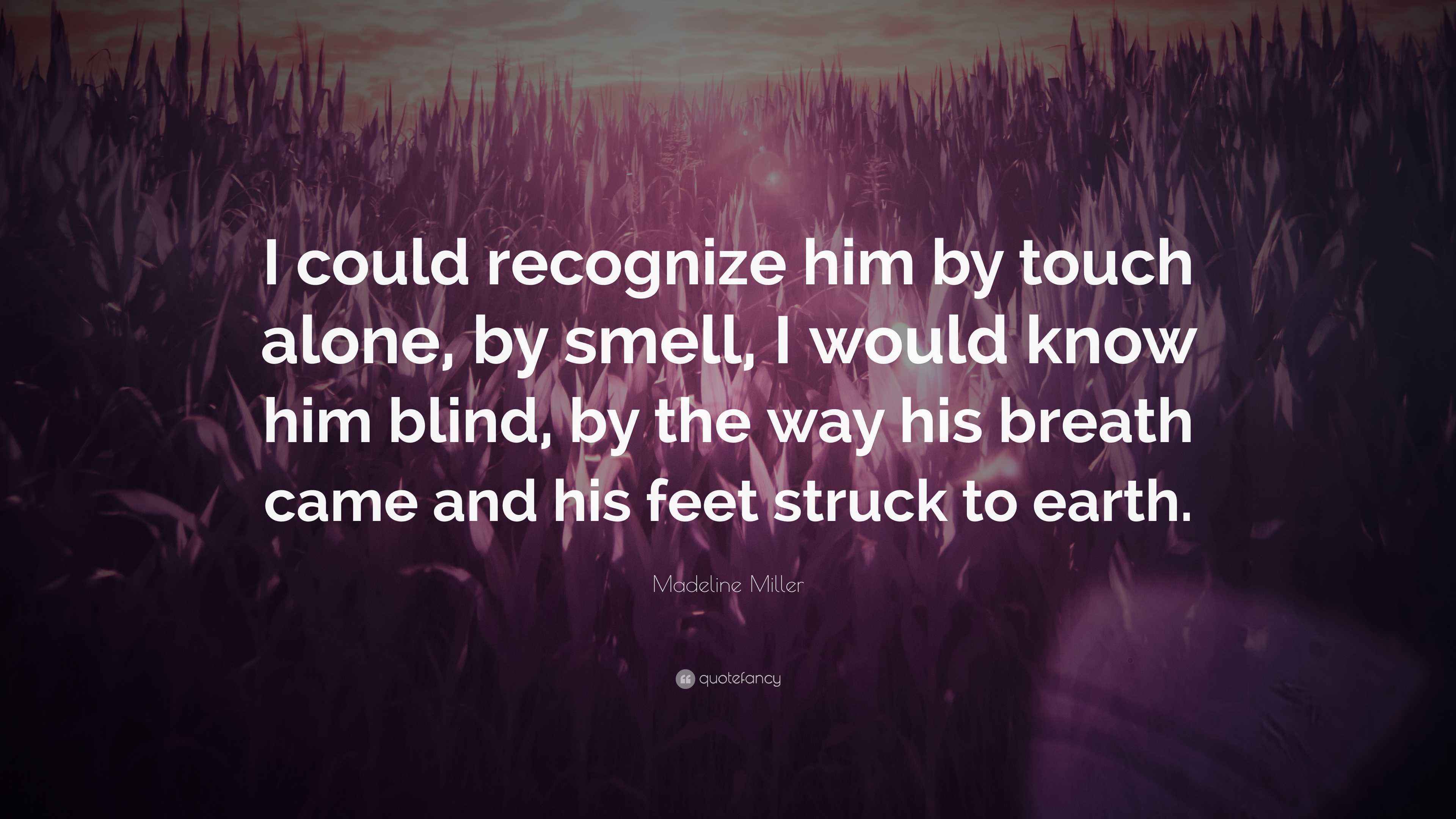 Madeline Miller Quote: “I could recognize him by touch alone, by smell ...