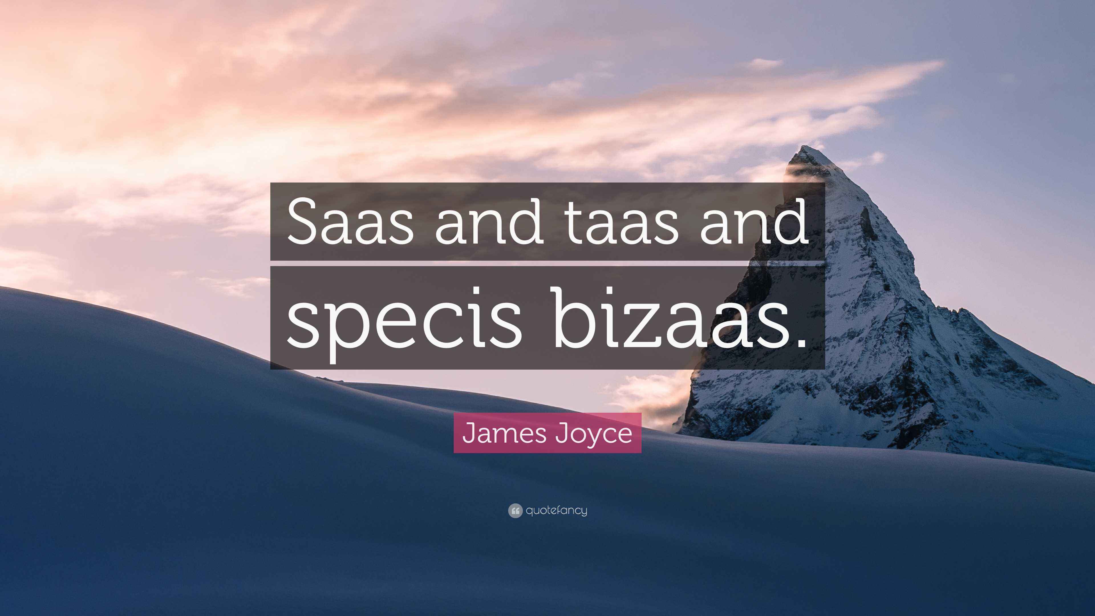 James Joyce Quote: “Saas and taas and specis bizaas.”