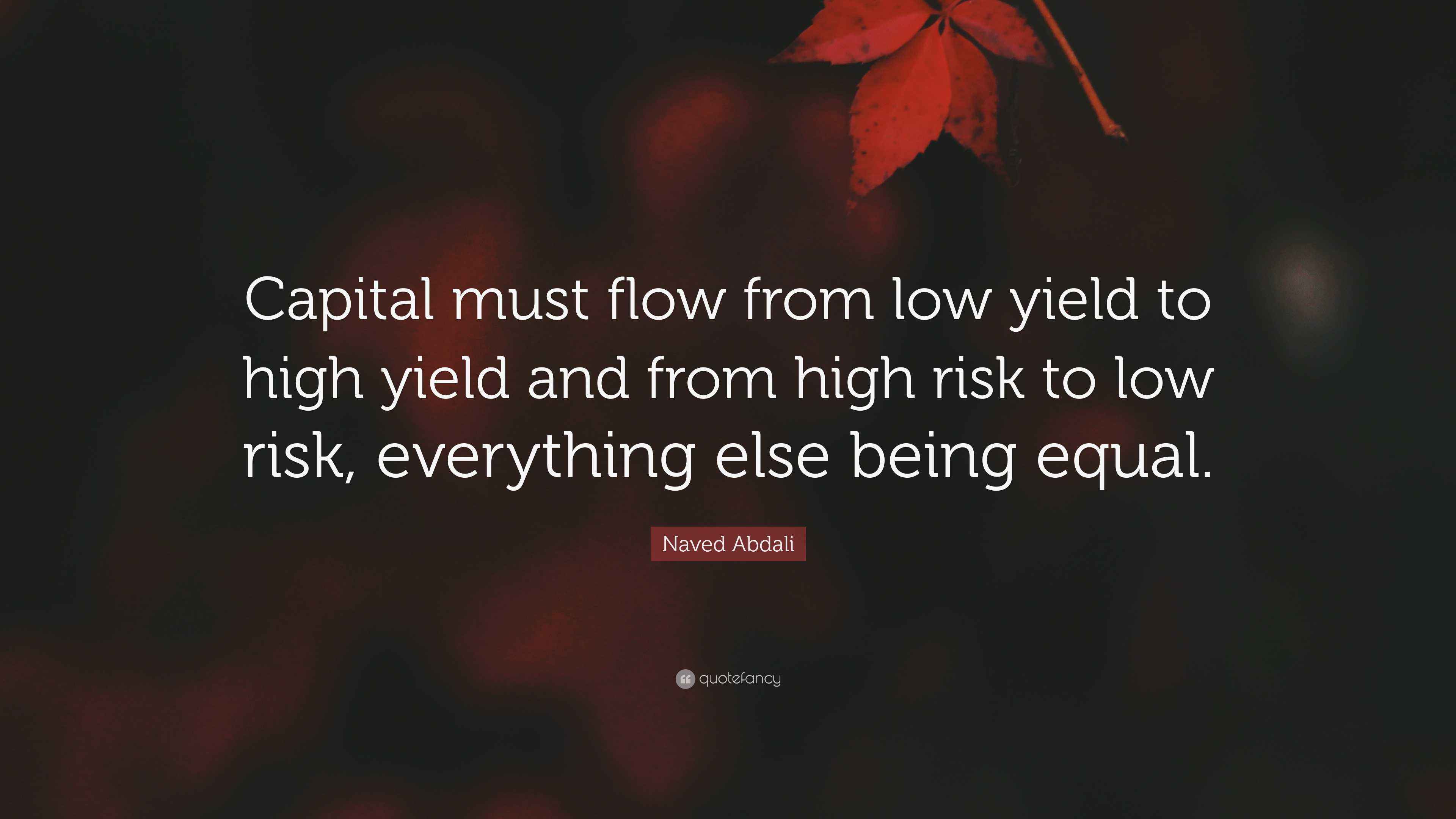 Naved Abdali Quote: “Capital must flow from low yield to high yield and ...