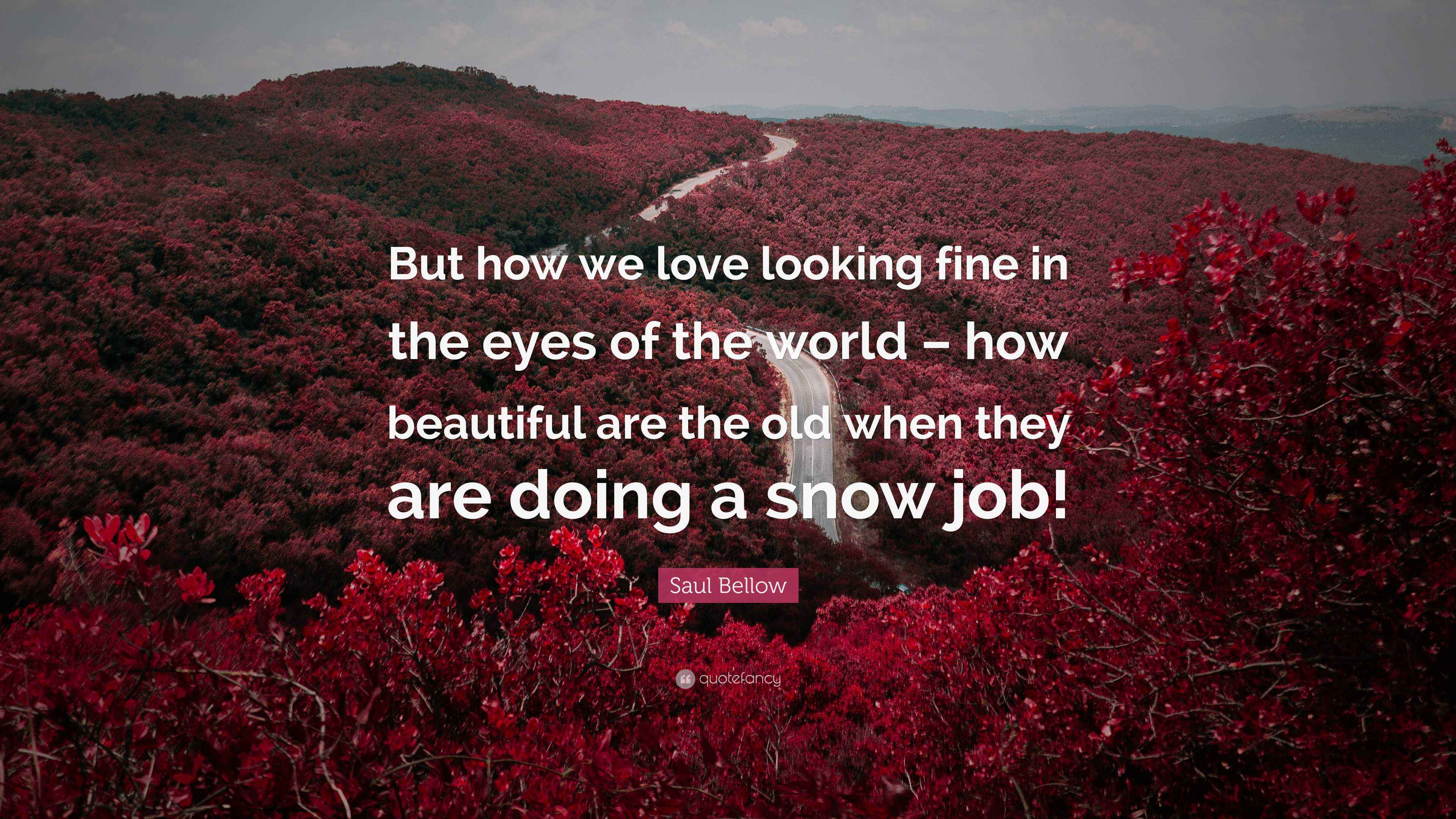 Saul Bellow Quote: “But how we love looking fine in the eyes of the ...