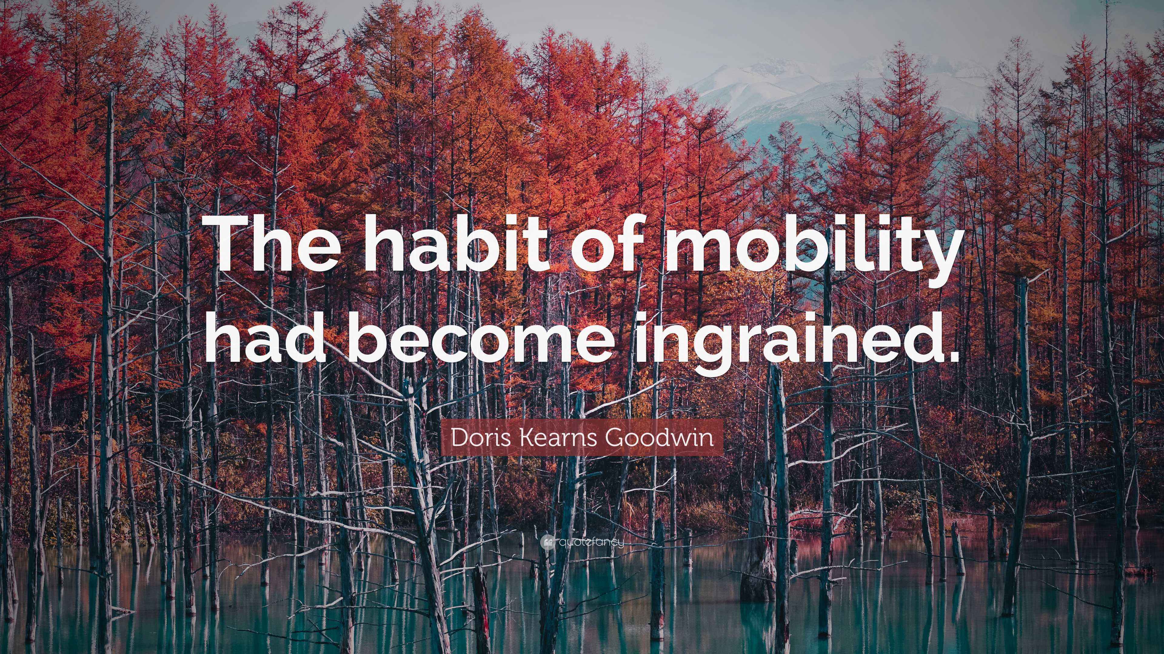 Doris Kearns Goodwin Quote: “The habit of mobility had become ingrained.”