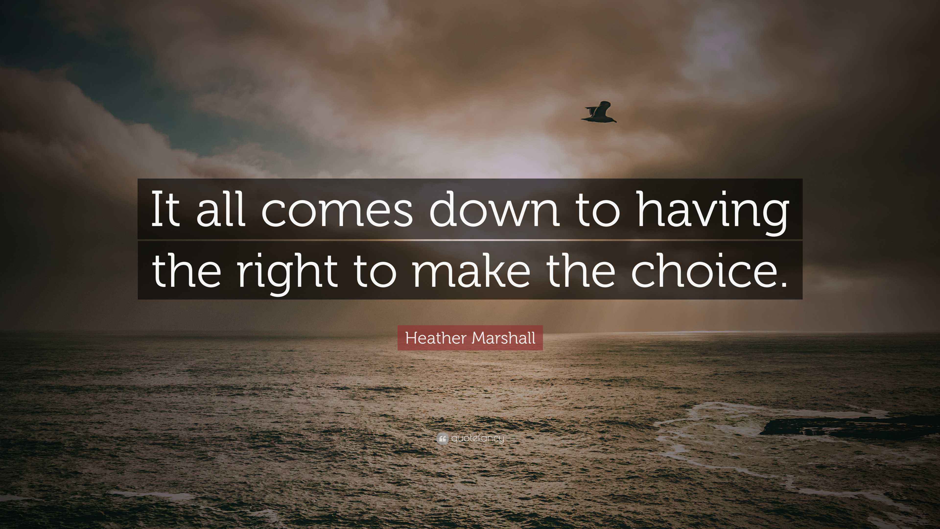 Heather Marshall Quote: “It all comes down to having the right to make ...