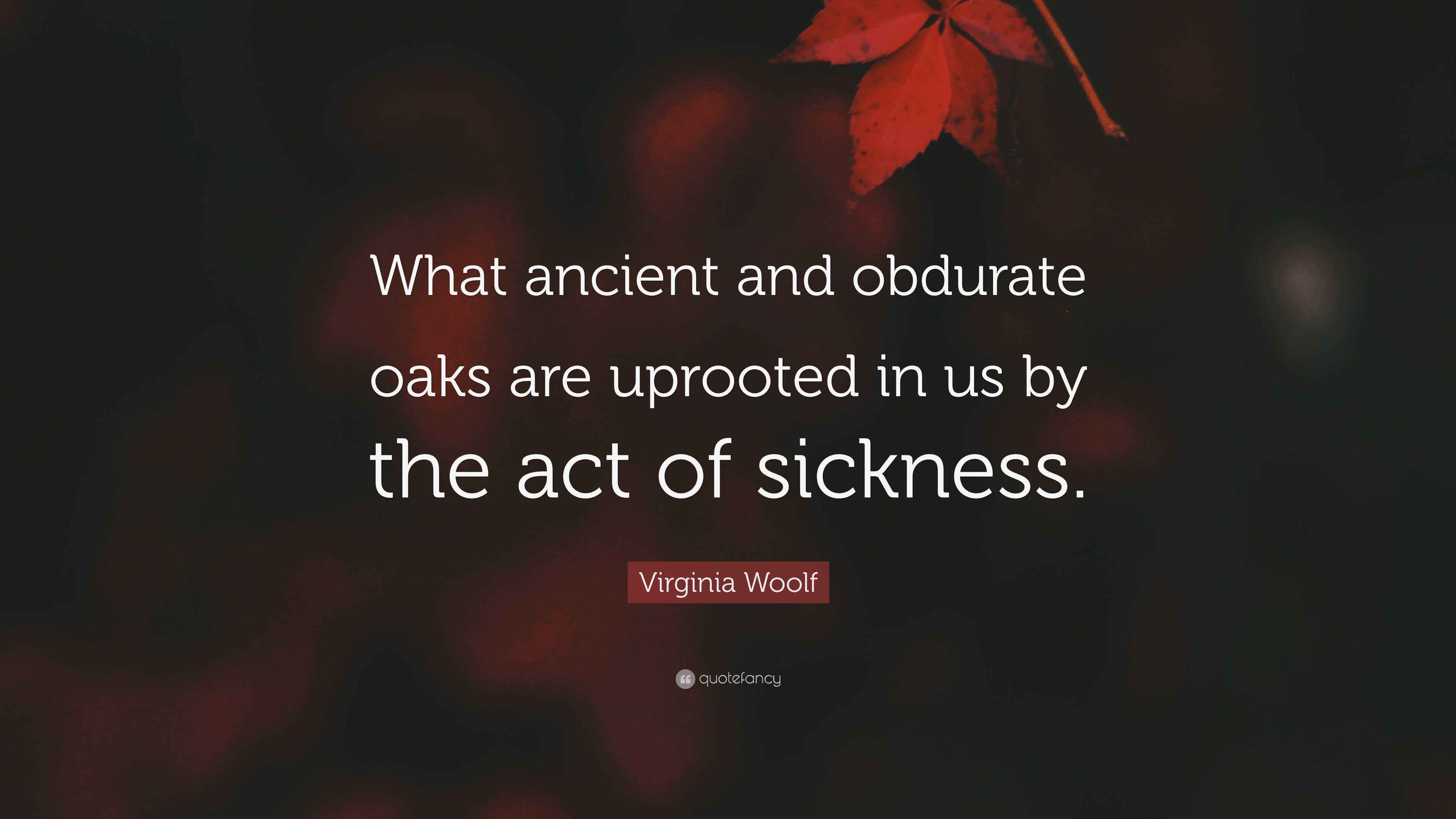 Virginia Woolf Quote: “What ancient and obdurate oaks are uprooted in ...
