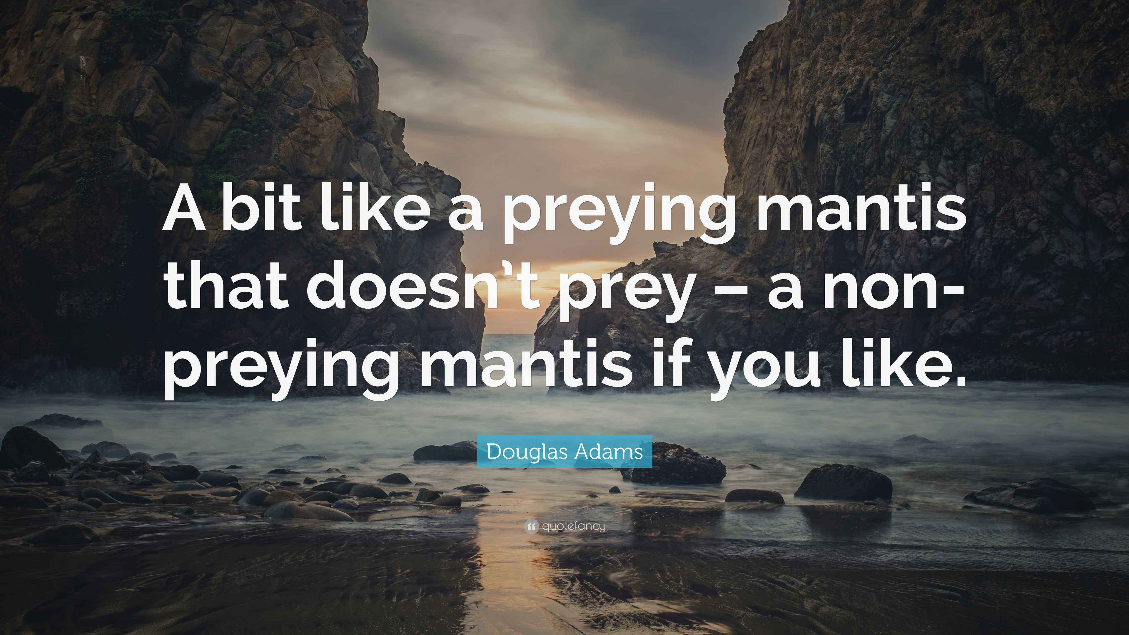 Douglas Adams Quote: “A bit like a preying mantis that doesn’t prey – a ...