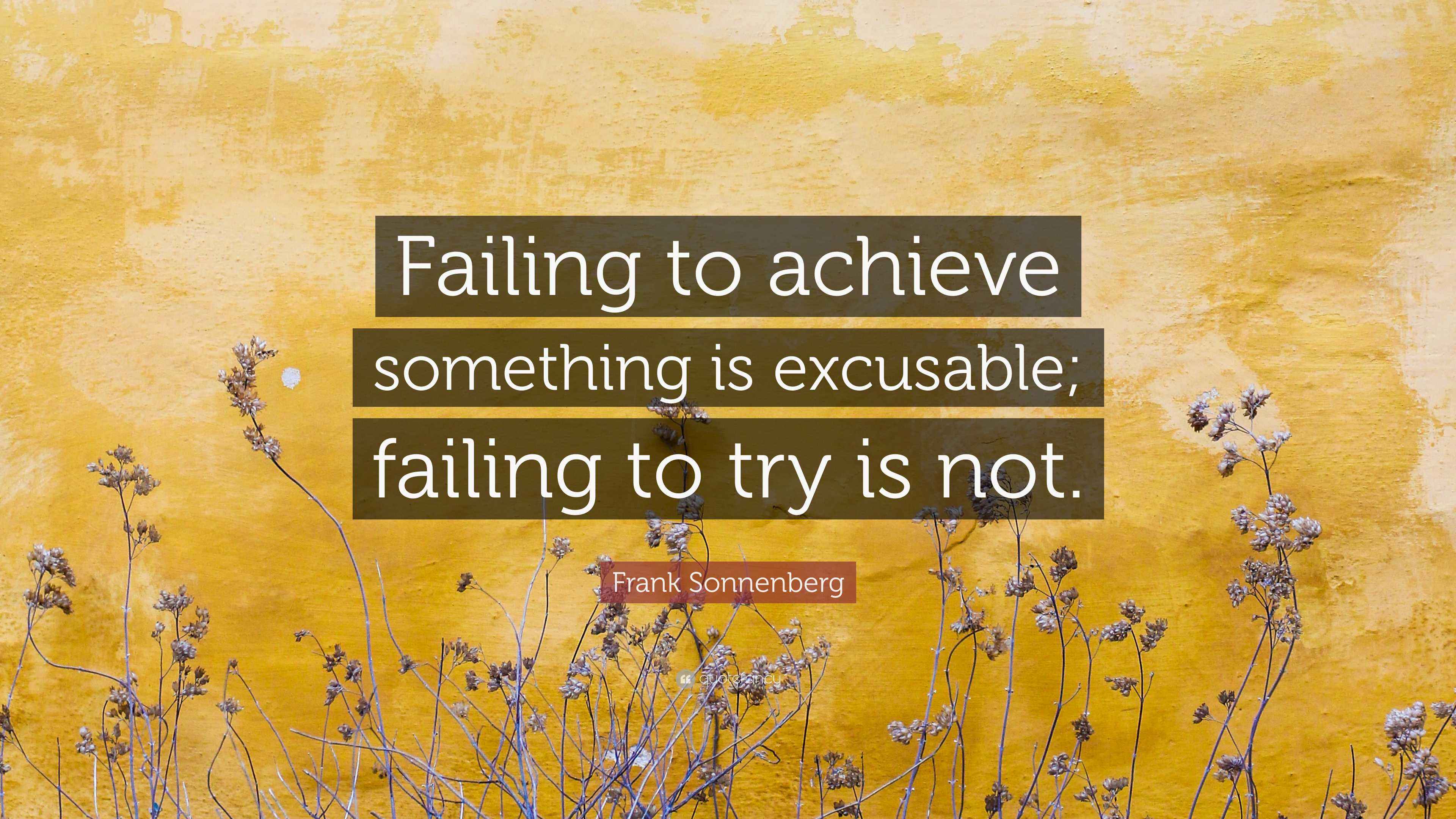 Frank Sonnenberg Quote: “Failing to achieve something is excusable ...