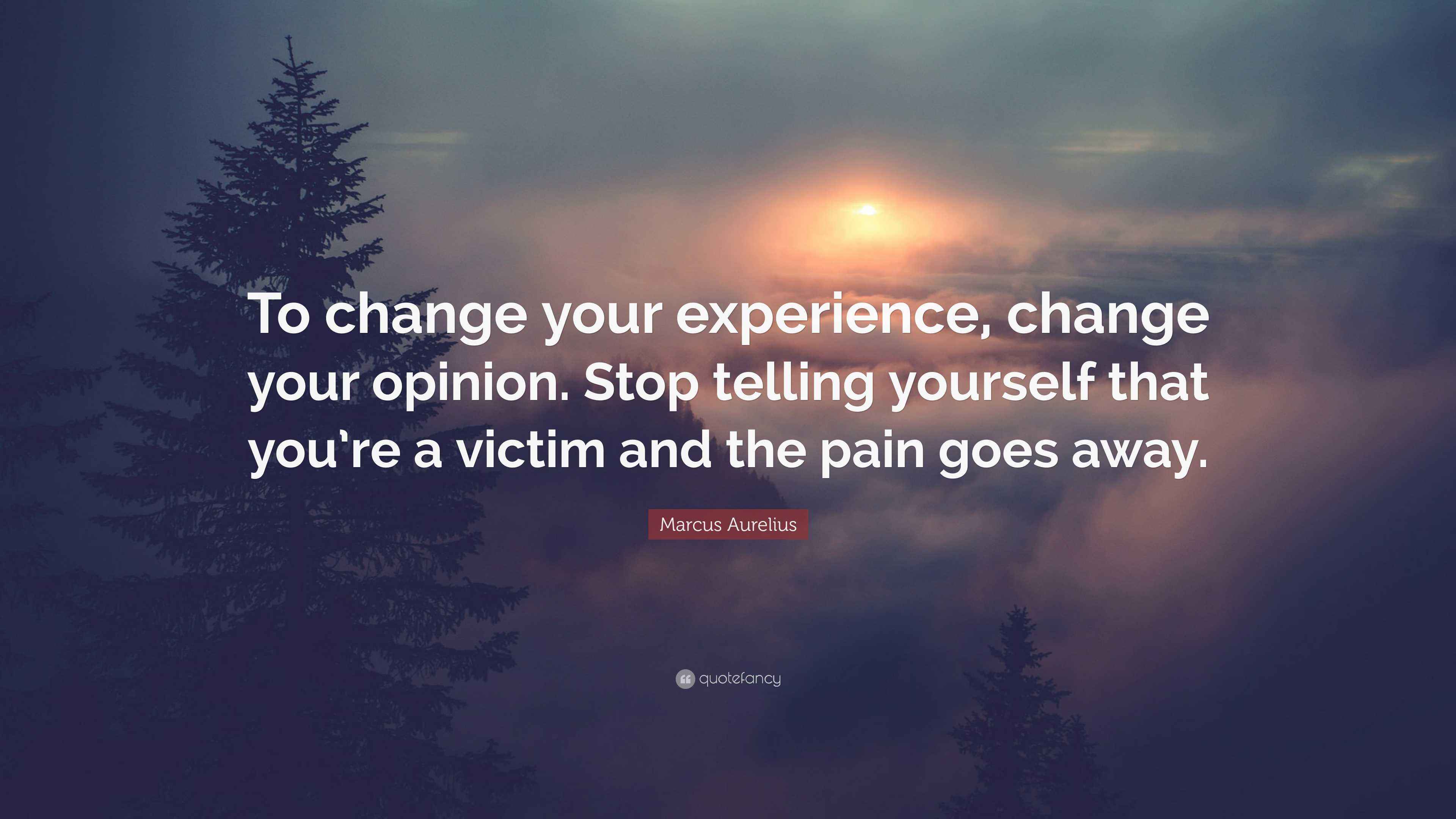 Marcus Aurelius Quote: “To change your experience, change your opinion ...