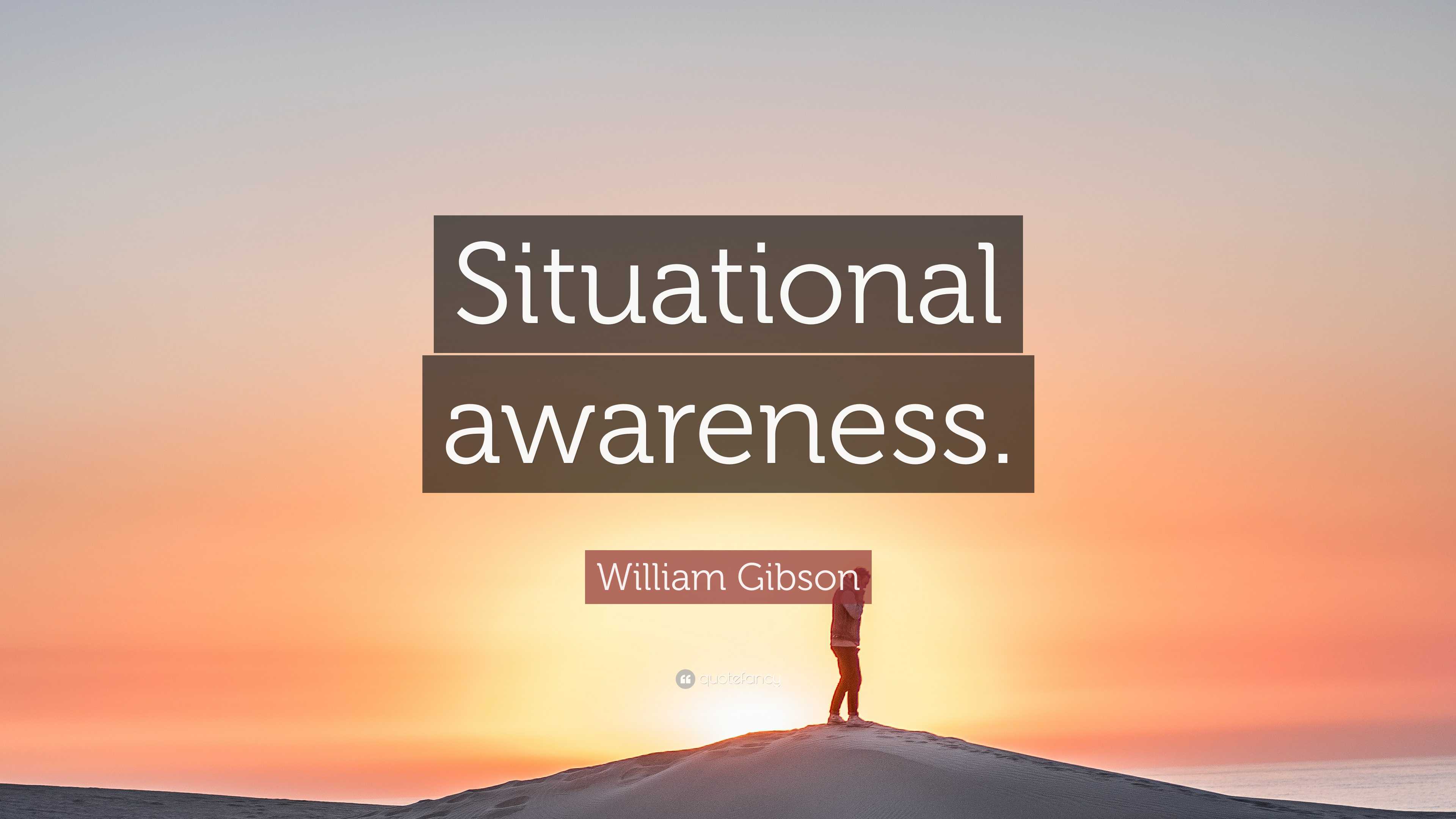 Situation Awareness Quotes