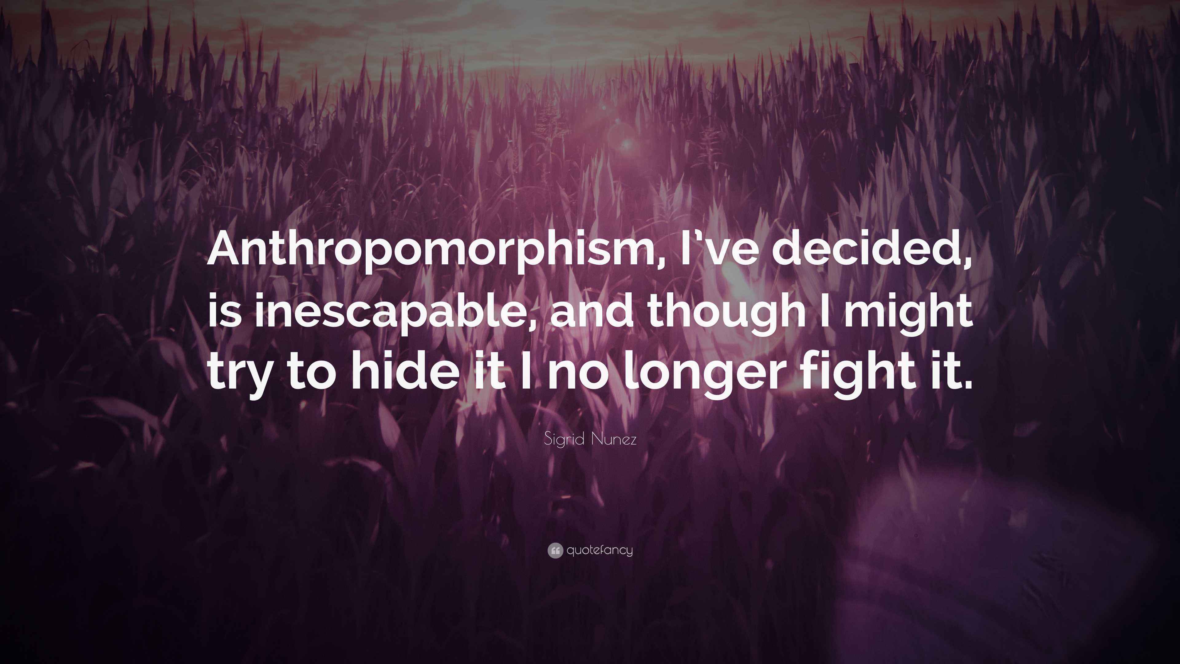 Anthropomorphism Quotes Mushroom Character Quote Inscription Funny