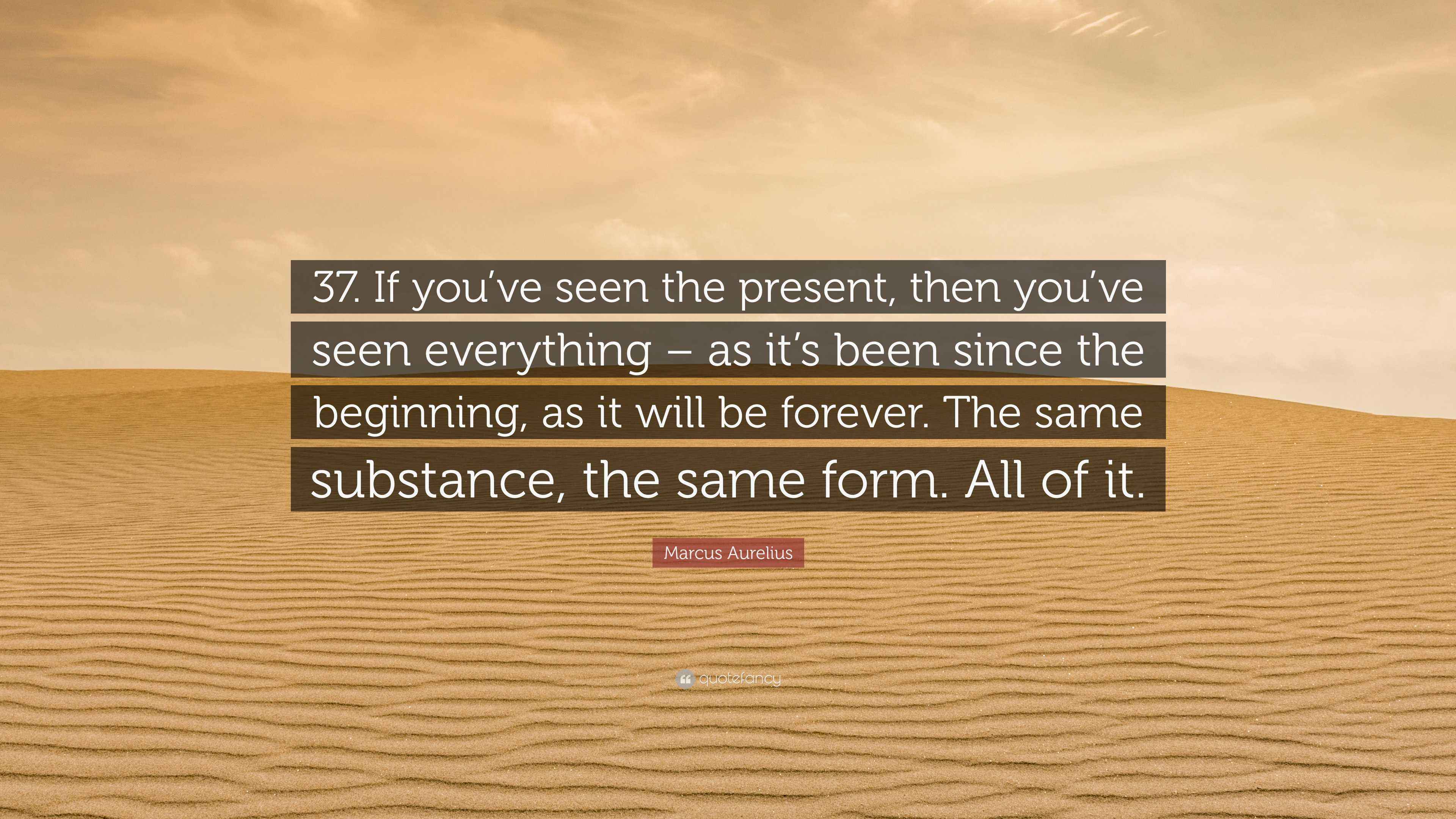 Marcus Aurelius Quote: “37. If you’ve seen the present, then you’ve ...