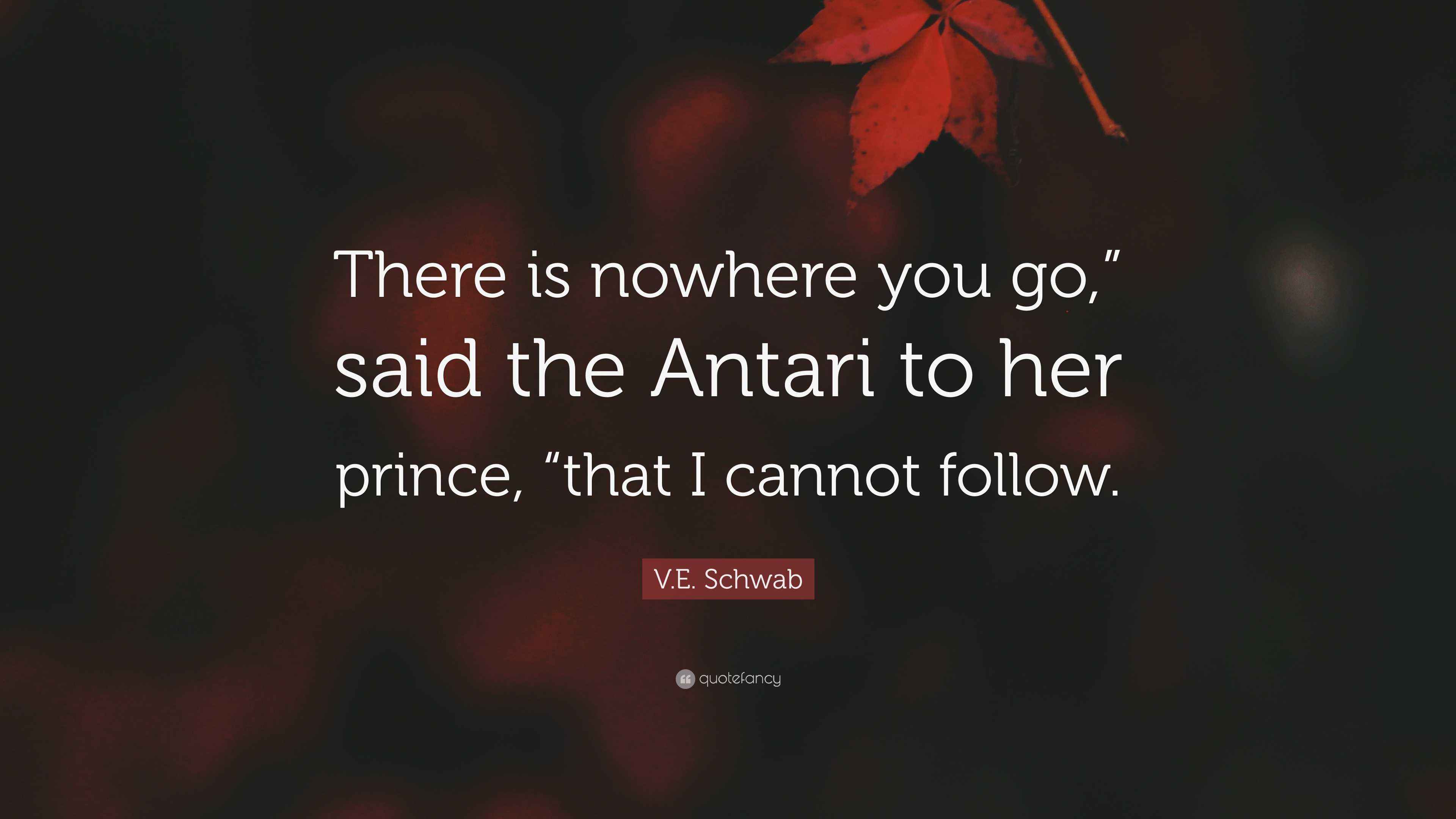V.E. Schwab Quote: “There is nowhere you go,” said the Antari to her ...