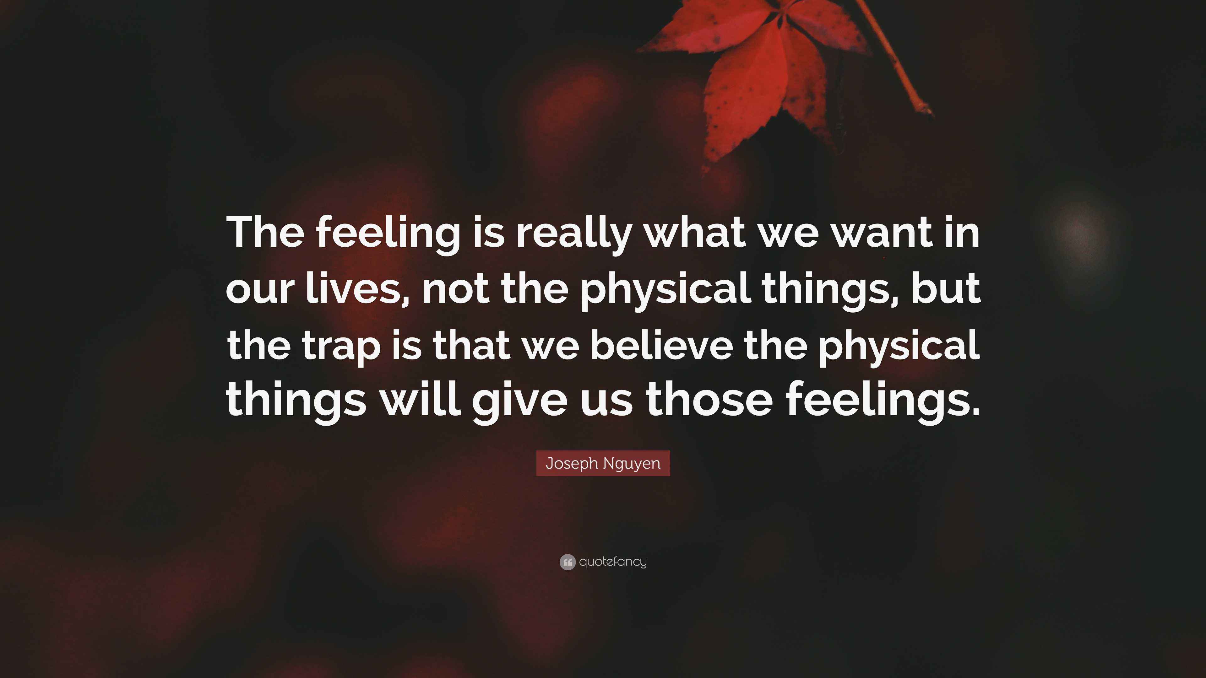 Joseph Nguyen Quote: “The feeling is really what we want in our lives ...
