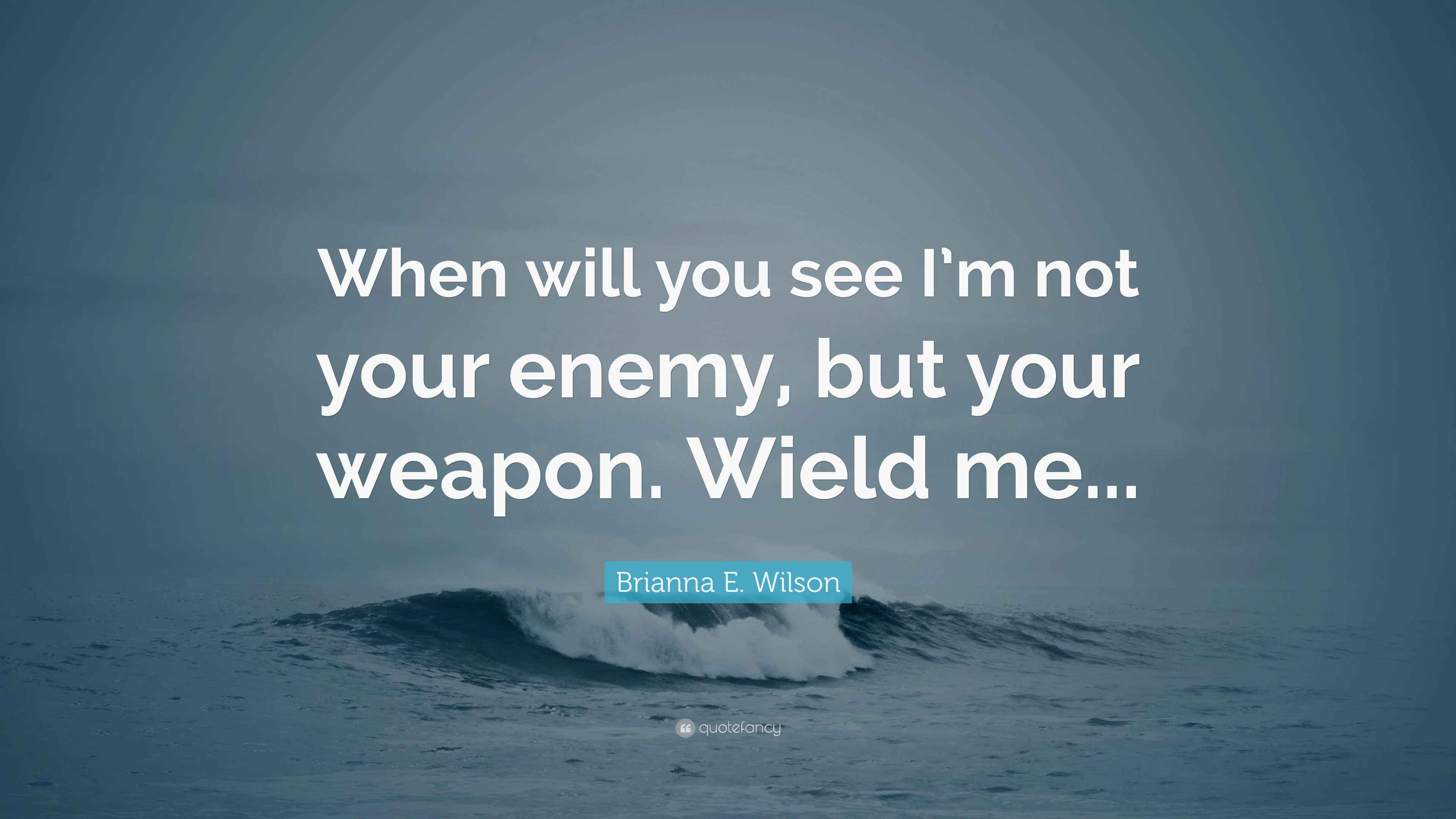Brianna E. Wilson Quote: “When will you see I’m not your enemy, but ...