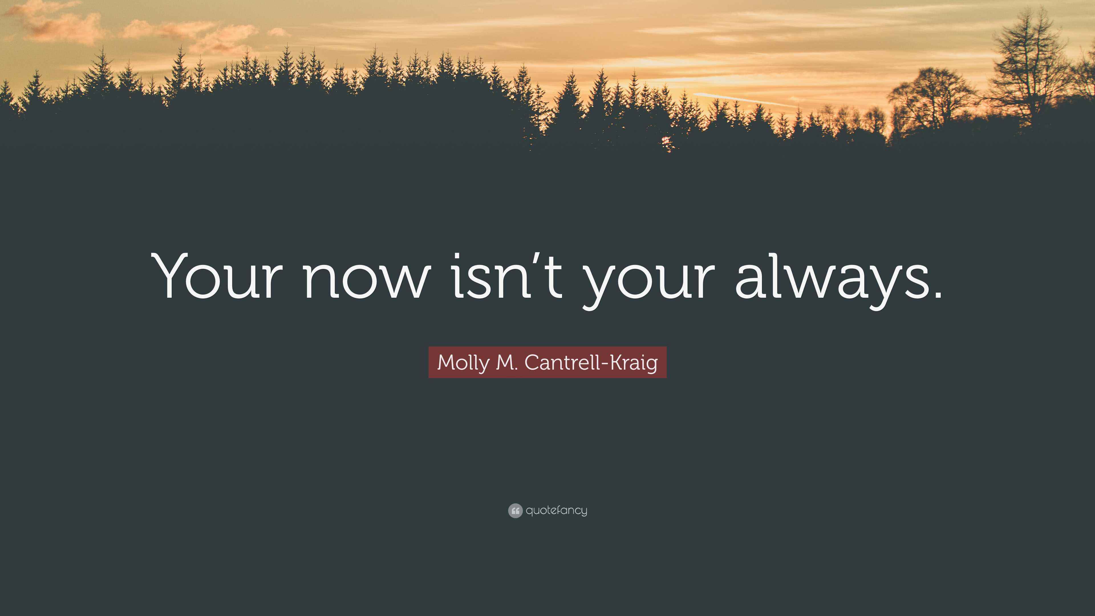 Molly M. Cantrell-Kraig Quote: “Your now isn’t your always.”