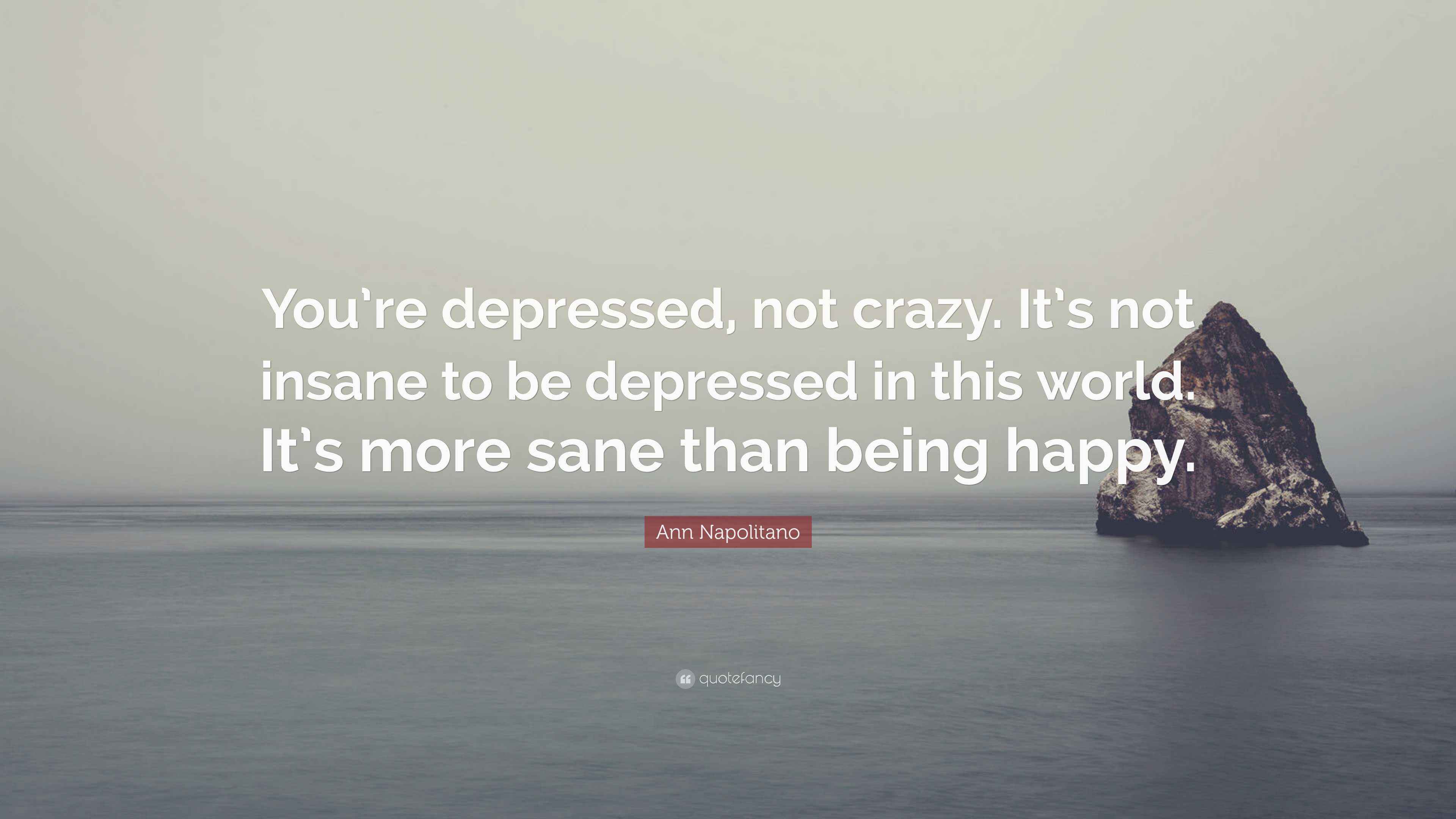 Ann Napolitano Quote: “You’re depressed, not crazy. It’s not insane to ...
