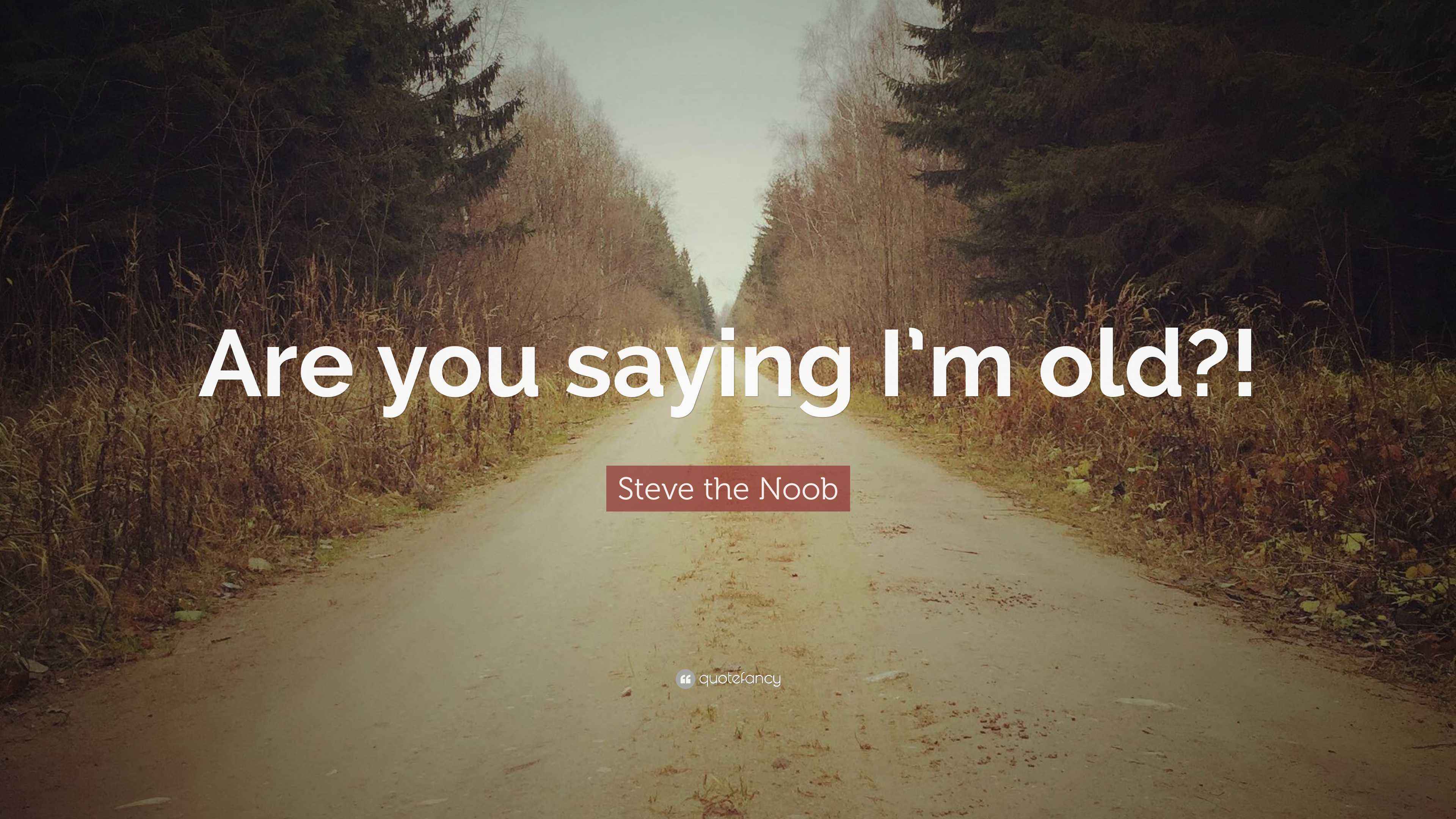 Steve the Noob Quote: “Are you saying I’m old?!”