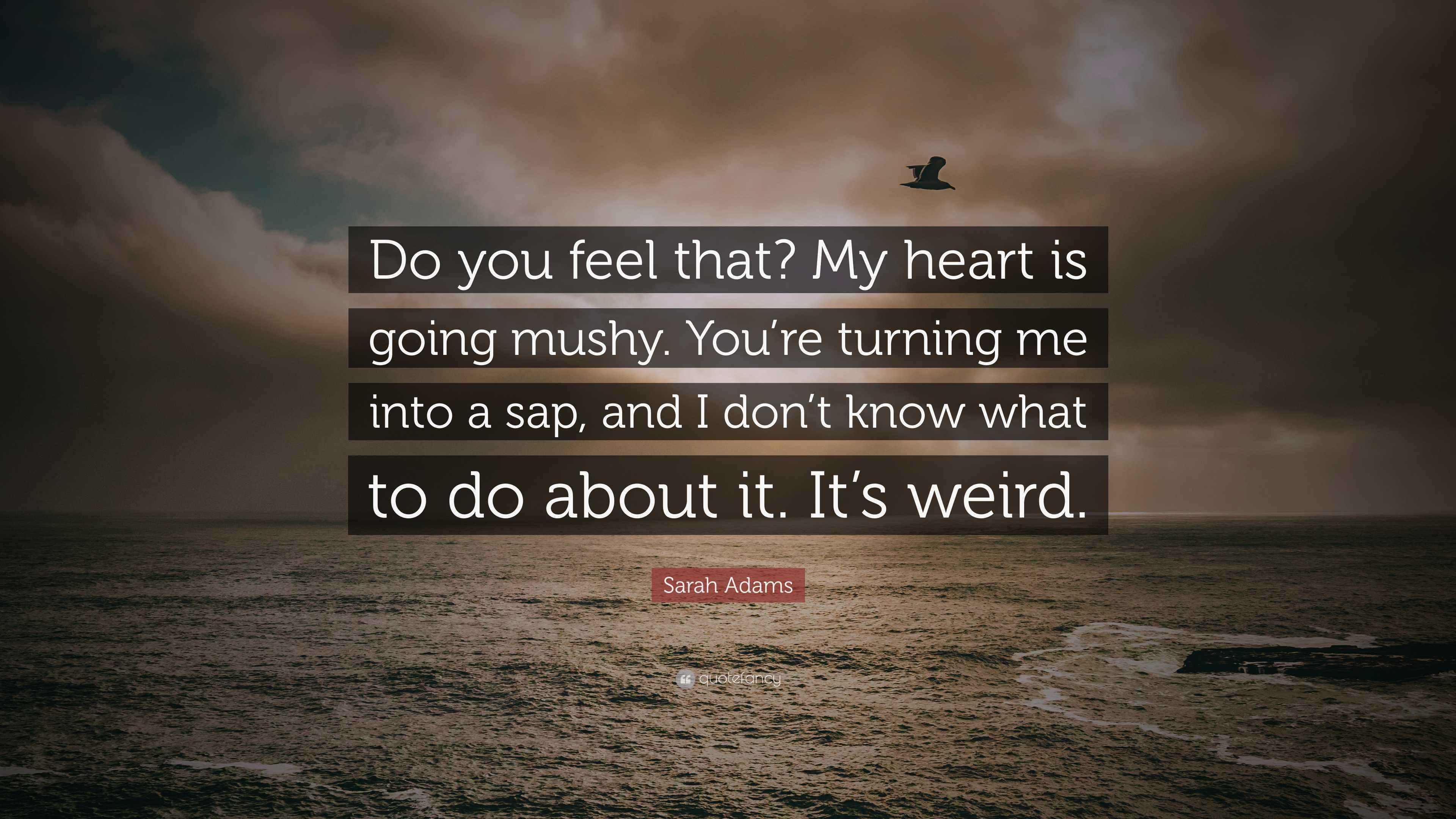 Sarah Adams Quote: “Do you feel that? My heart is going mushy. You’re ...