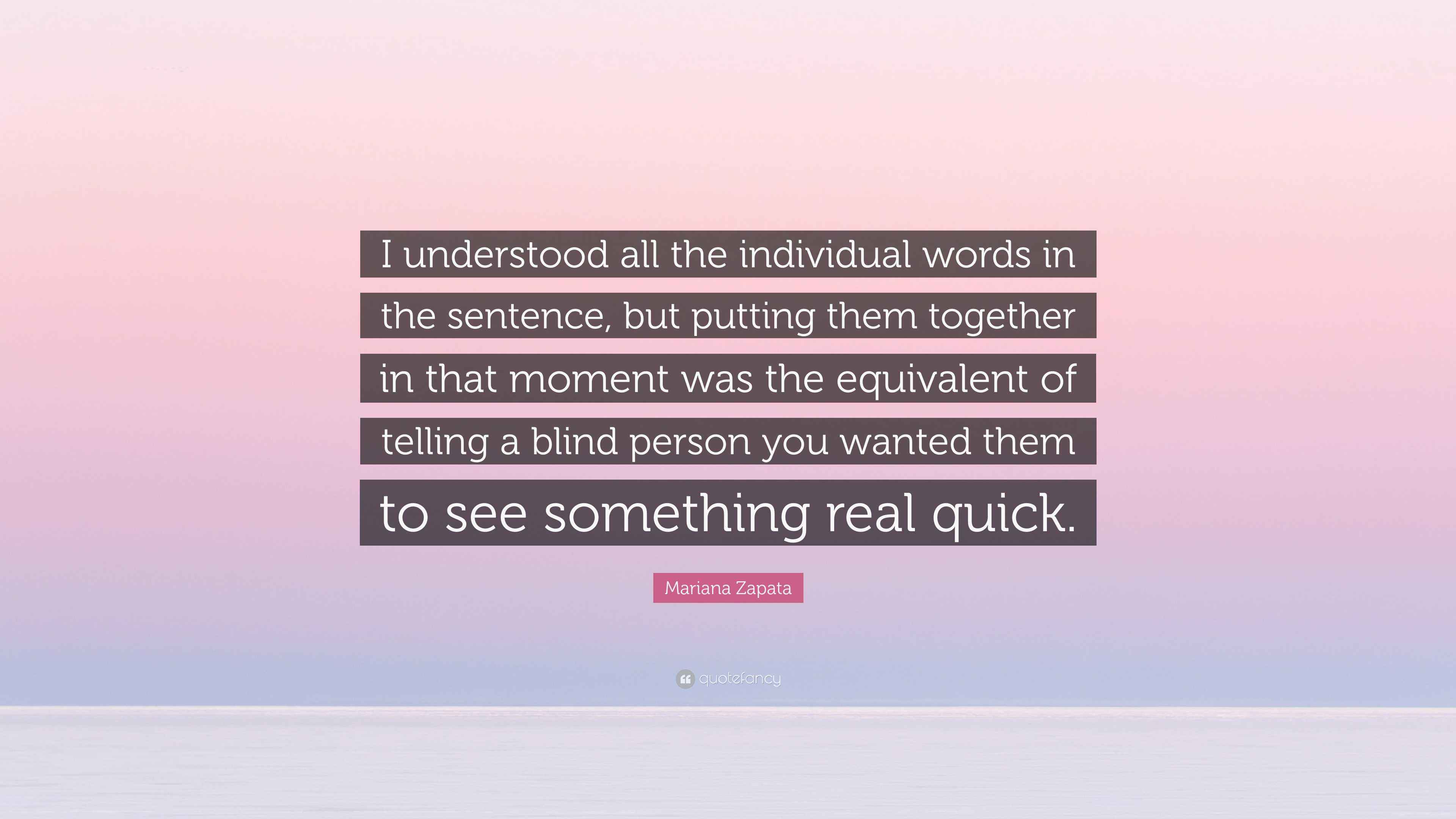 Mariana Zapata Quote: “I understood all the individual words in the ...