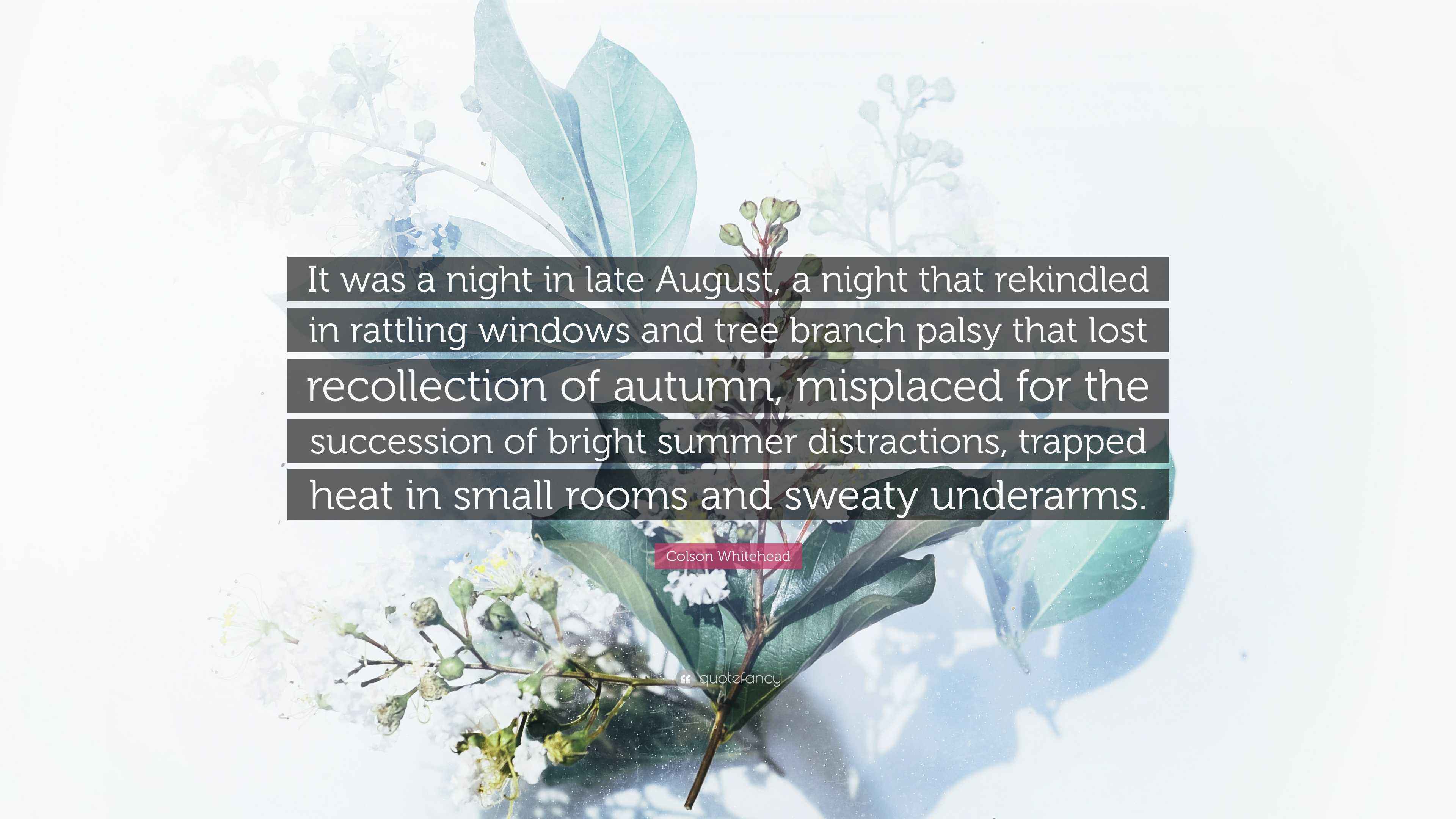 Colson Whitehead Quote: “It was a night in late August, a night that ...