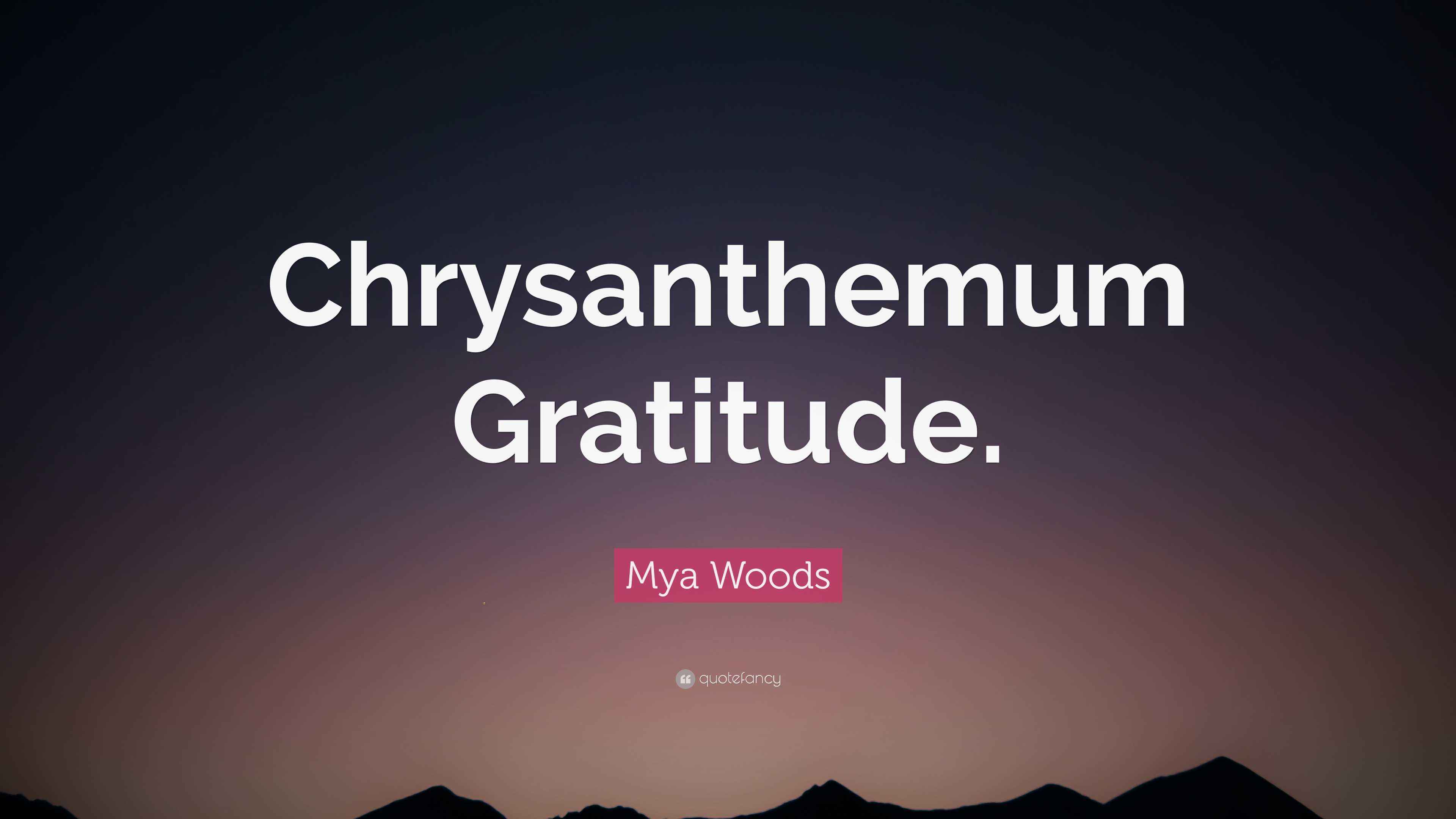 Mya Woods Quote: “Chrysanthemum Gratitude.”