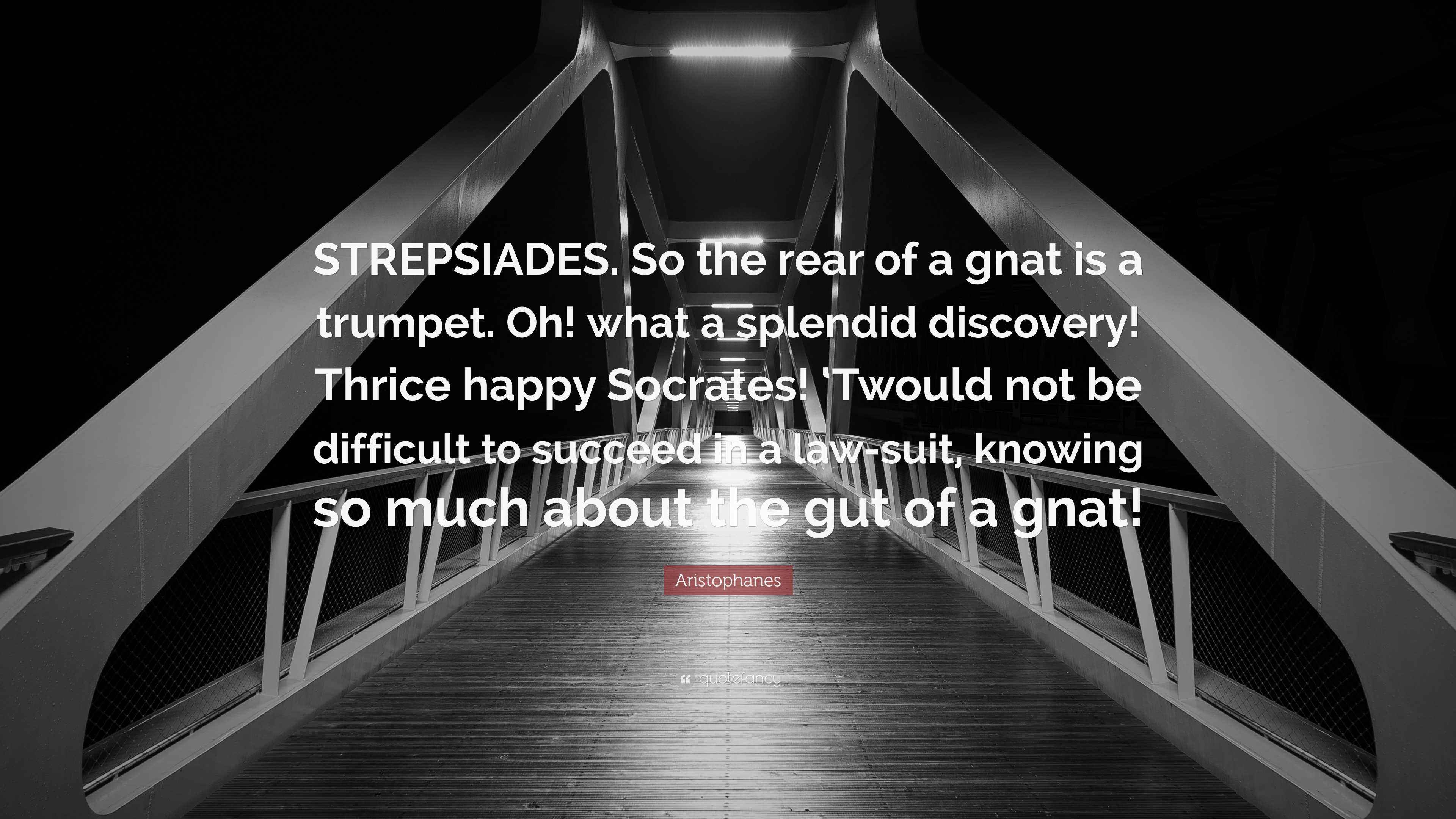 Aristophanes Quote: “STREPSIADES. So the rear of a gnat is a trumpet ...