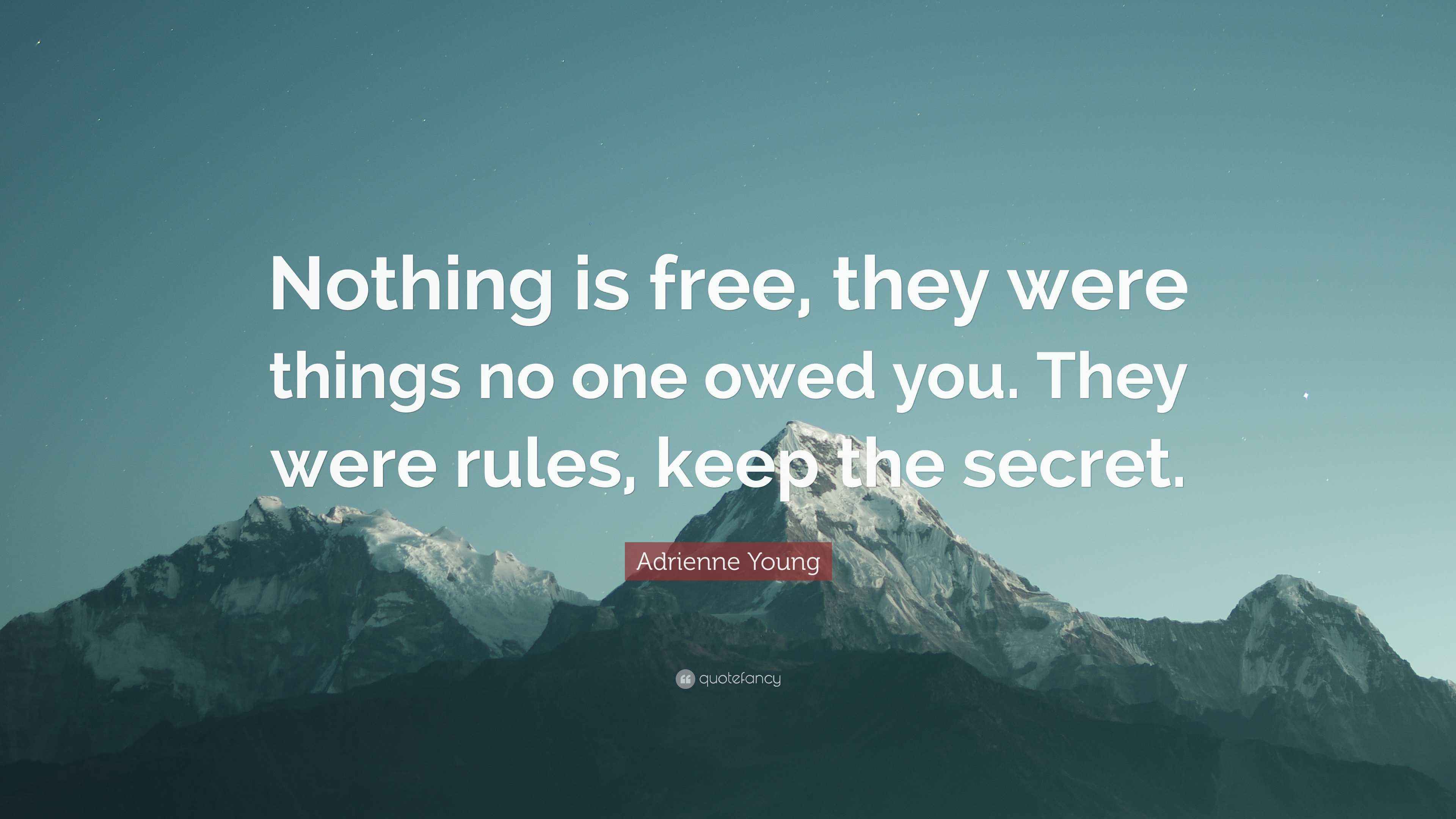 Adrienne Young Quote: “Nothing is free, they were things no one owed ...