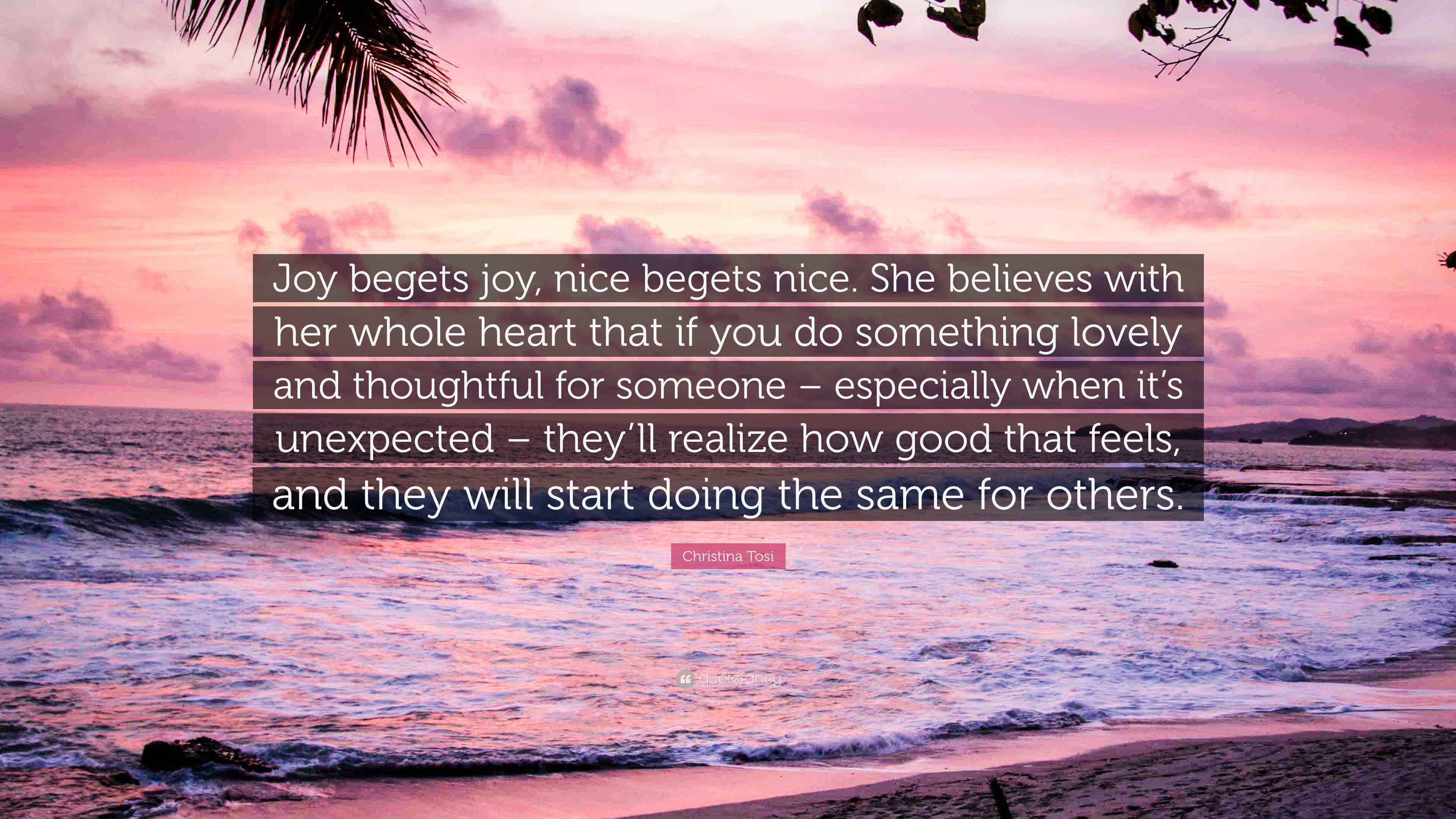 Christina Tosi Quote: “Joy begets joy, nice begets nice. She believes ...