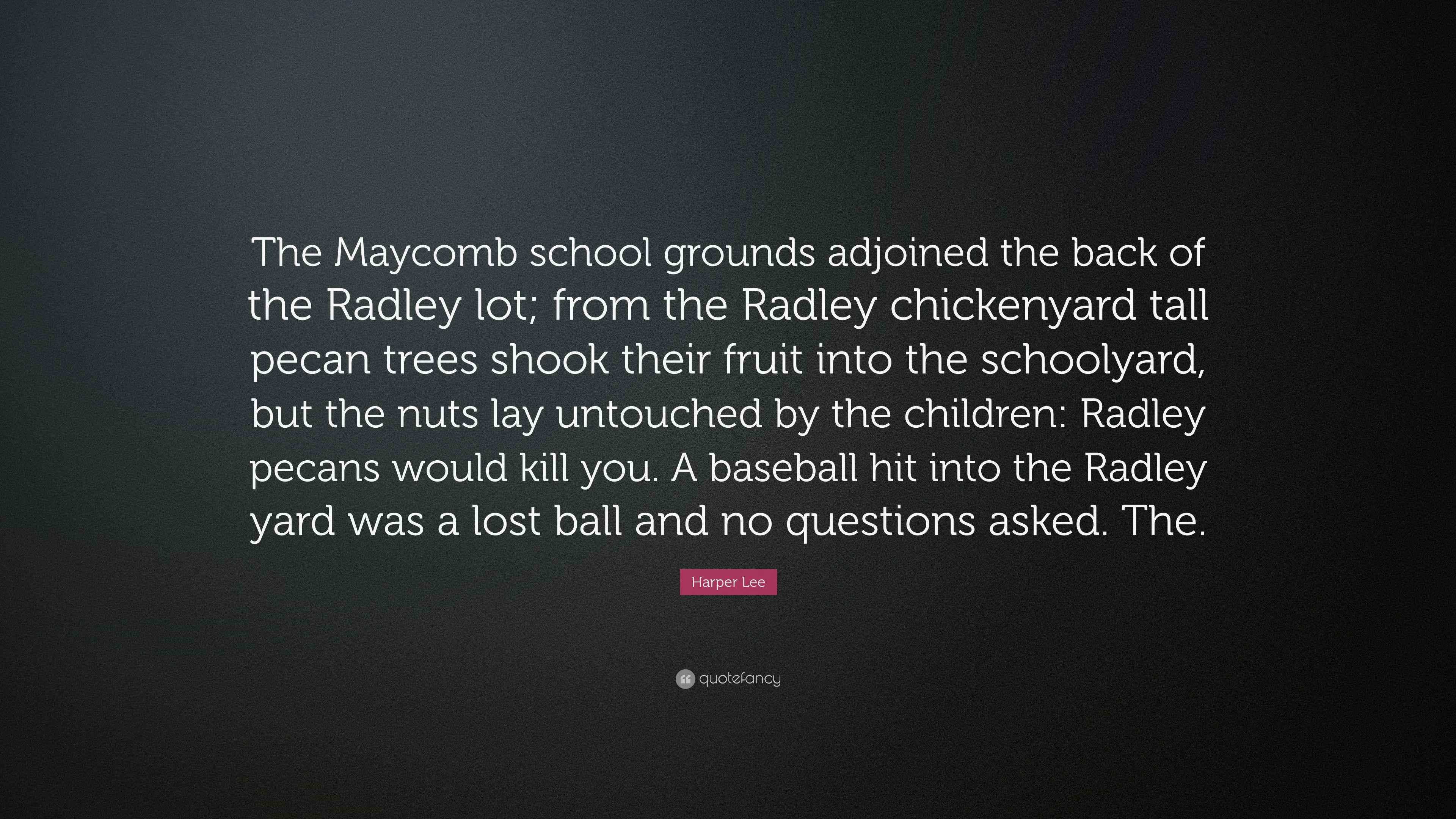 Harper Lee Quote: “The Maycomb school grounds adjoined the back of the ...
