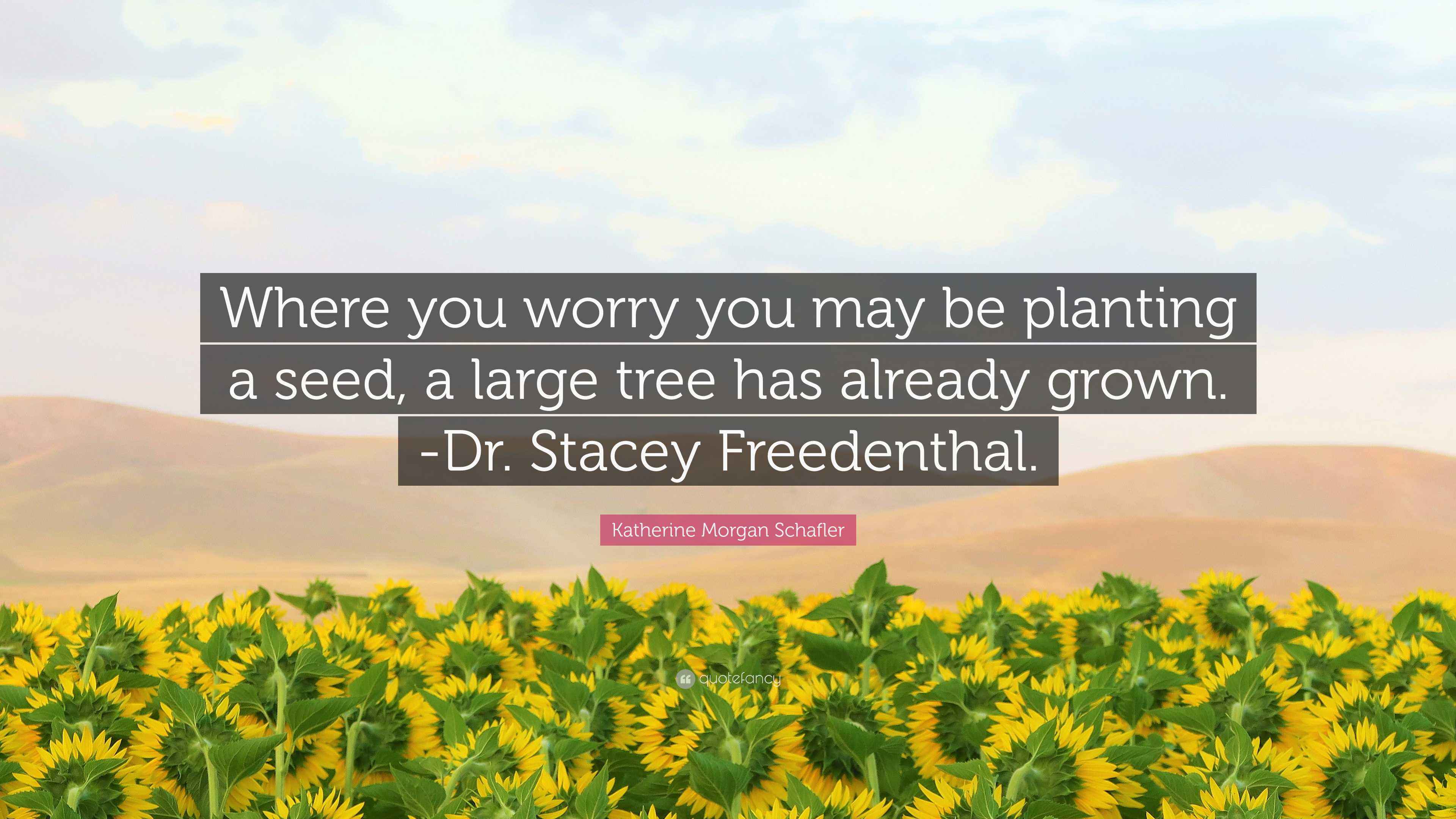 Katherine Morgan Schafler Quote: “Where you worry you may be planting a ...