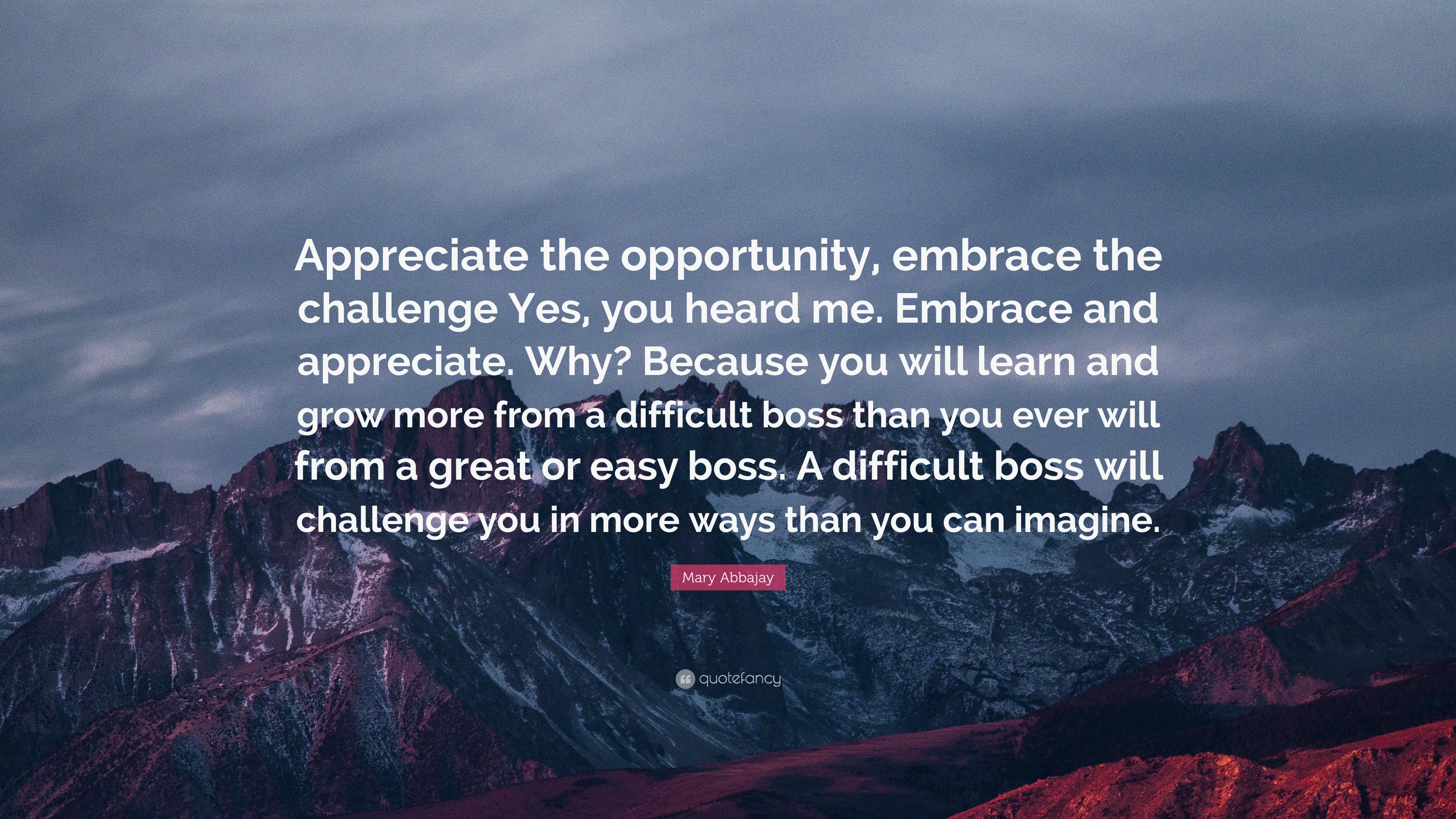 Mary Abbajay Quote: “Appreciate the opportunity, embrace the challenge ...