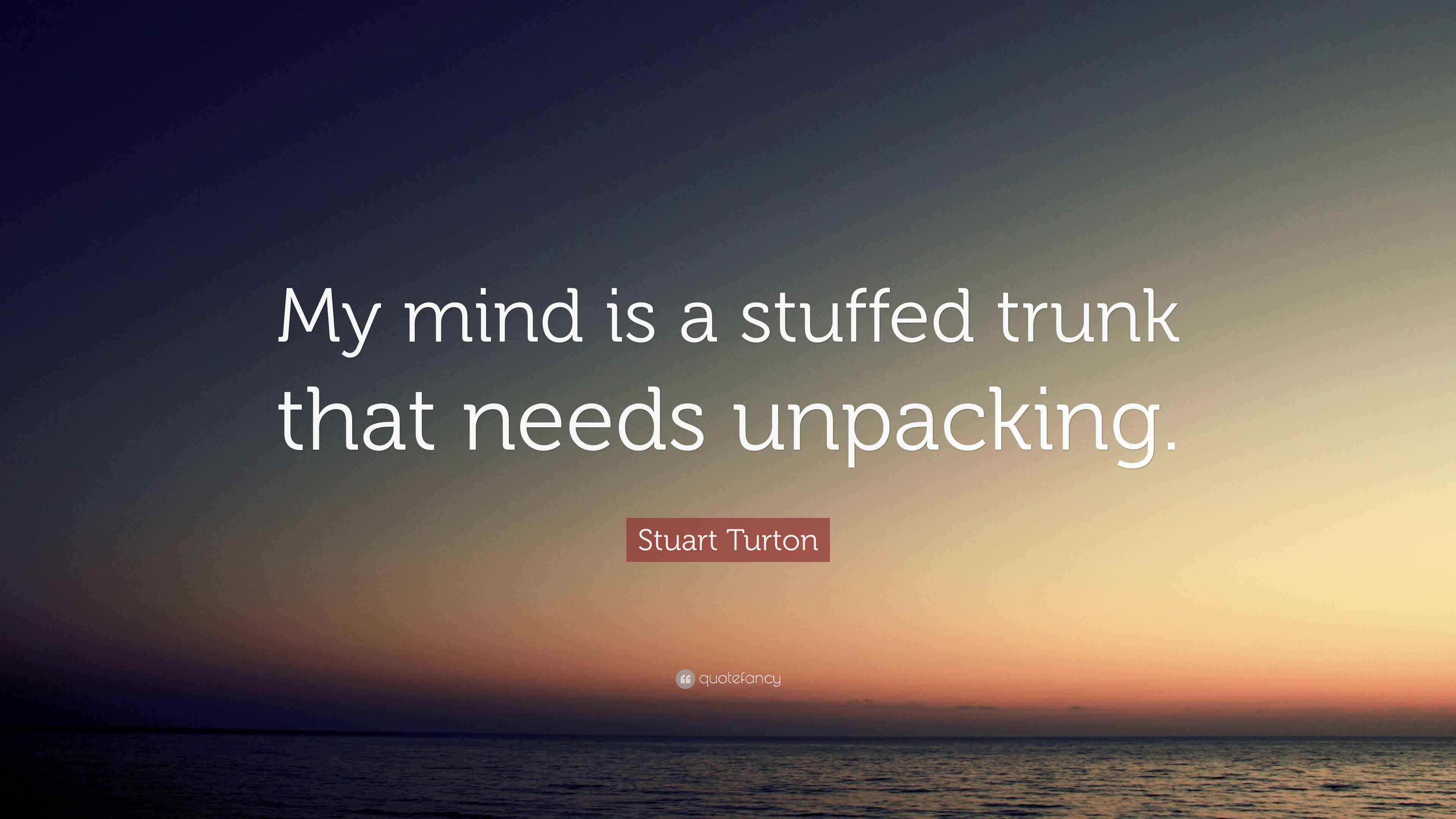 Stuart Turton Quote: “My mind is a stuffed trunk that needs unpacking.”
